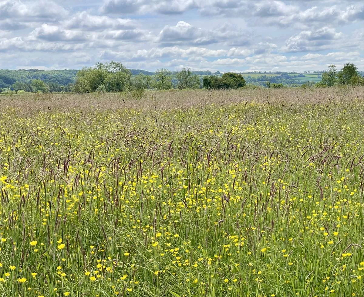 Stow-on-the-Wold Walks and Map — Local Walks