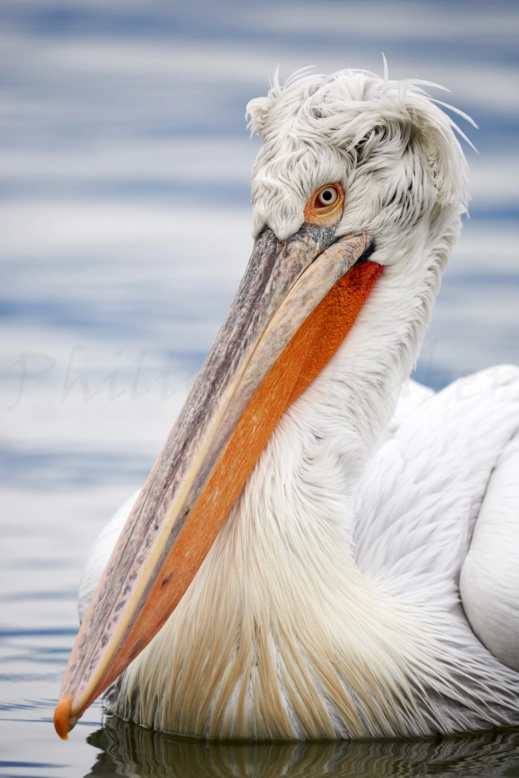 Portraits — Philippa Huber Photography