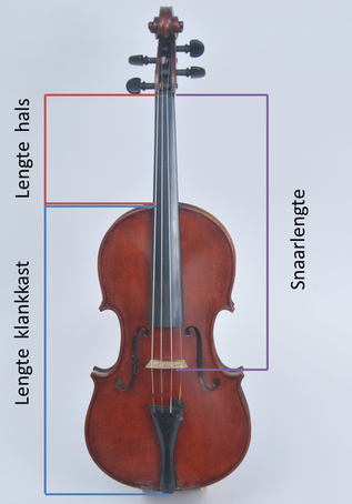 De altviool en keuze van de maat — Forte Violen