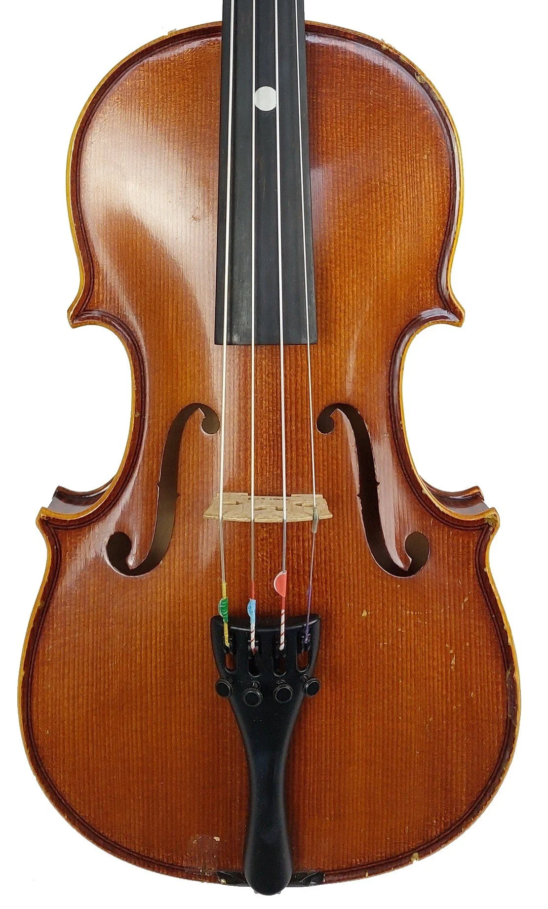 Welke maat viool is voor mij het meest geschikt? — Forte Violen