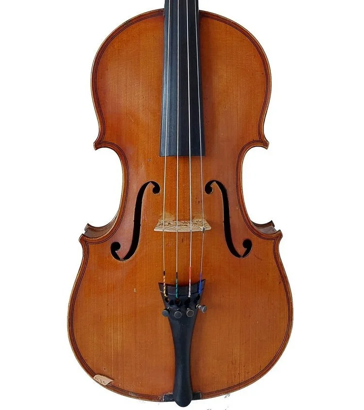 Viool Kopen — Forte Violen