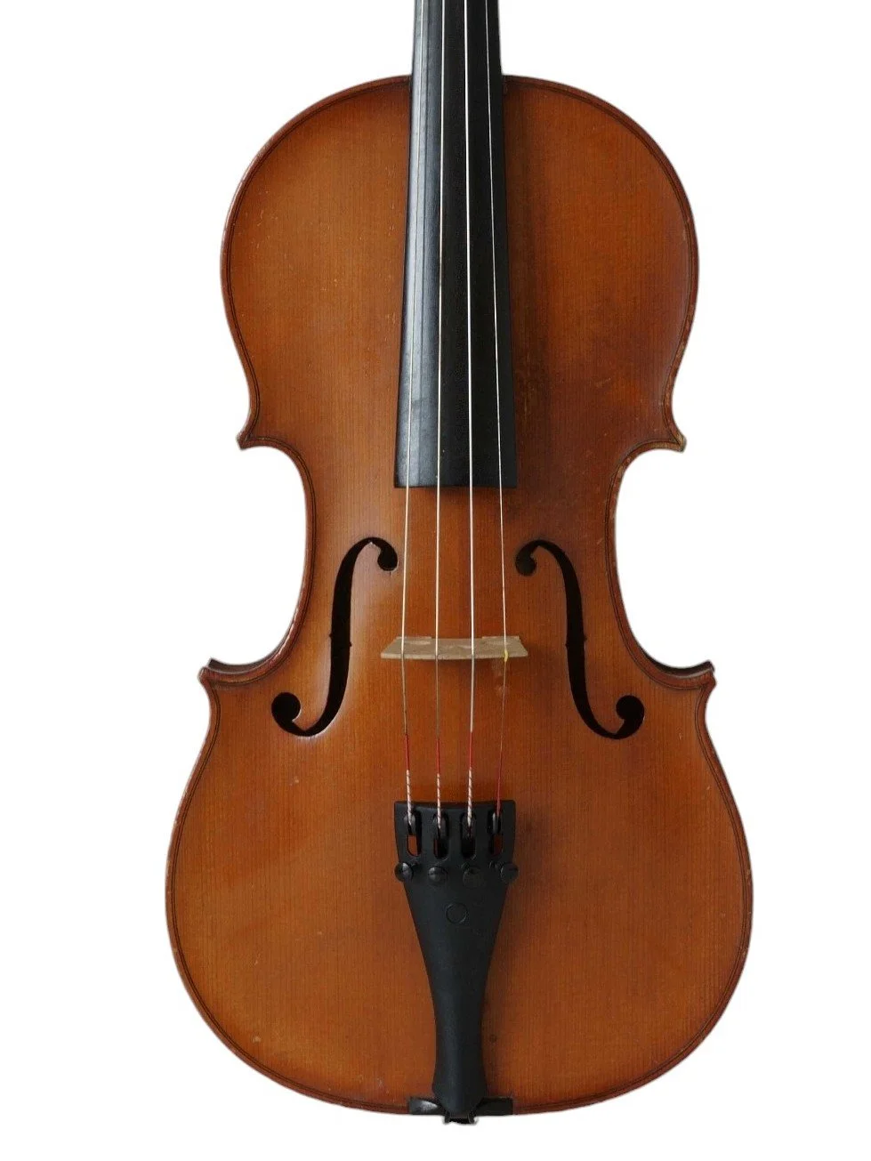 Viool Kopen — Forte Violen