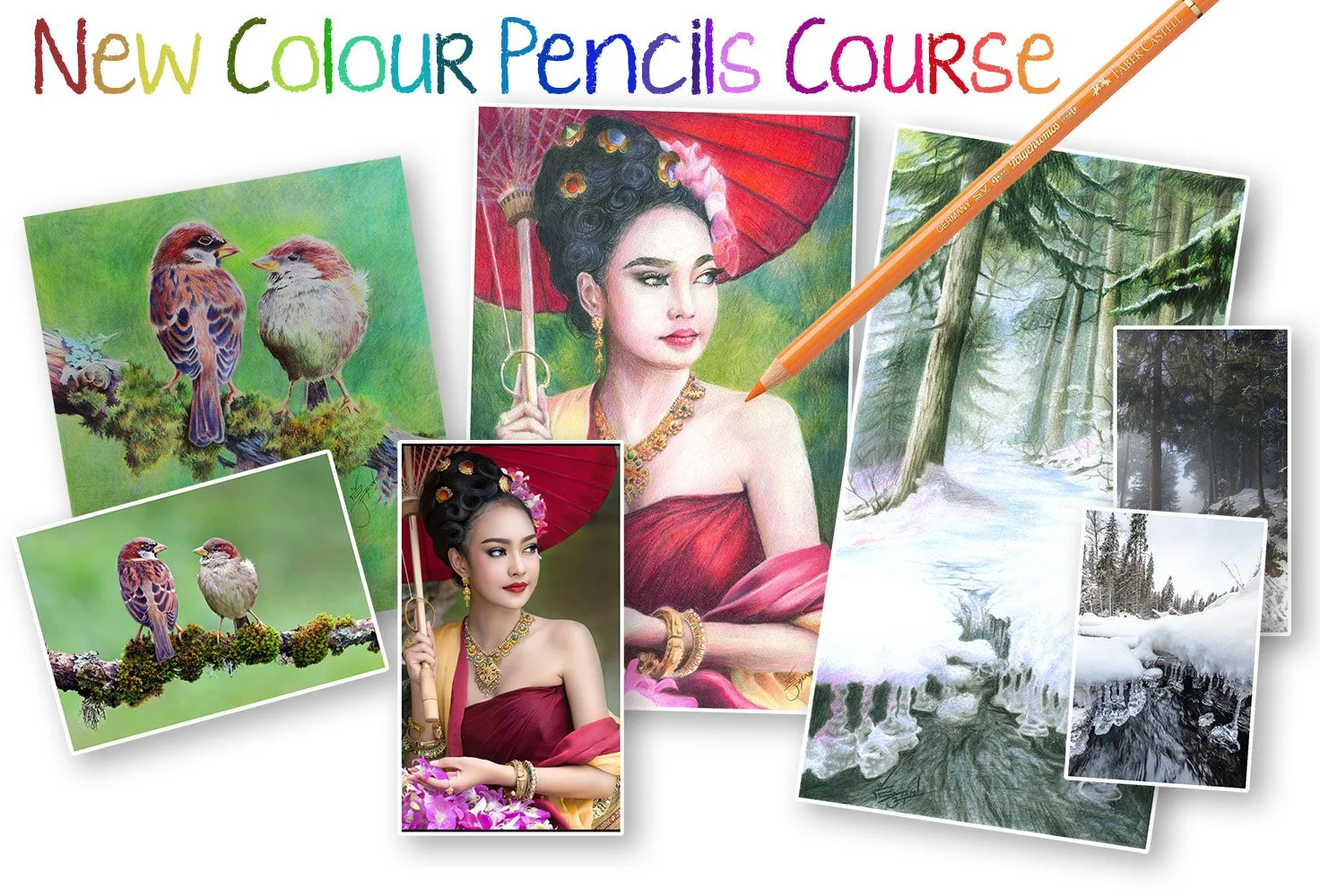 Mastering Colour Pencil Art Course — Sean Counley : Raven on the Roof