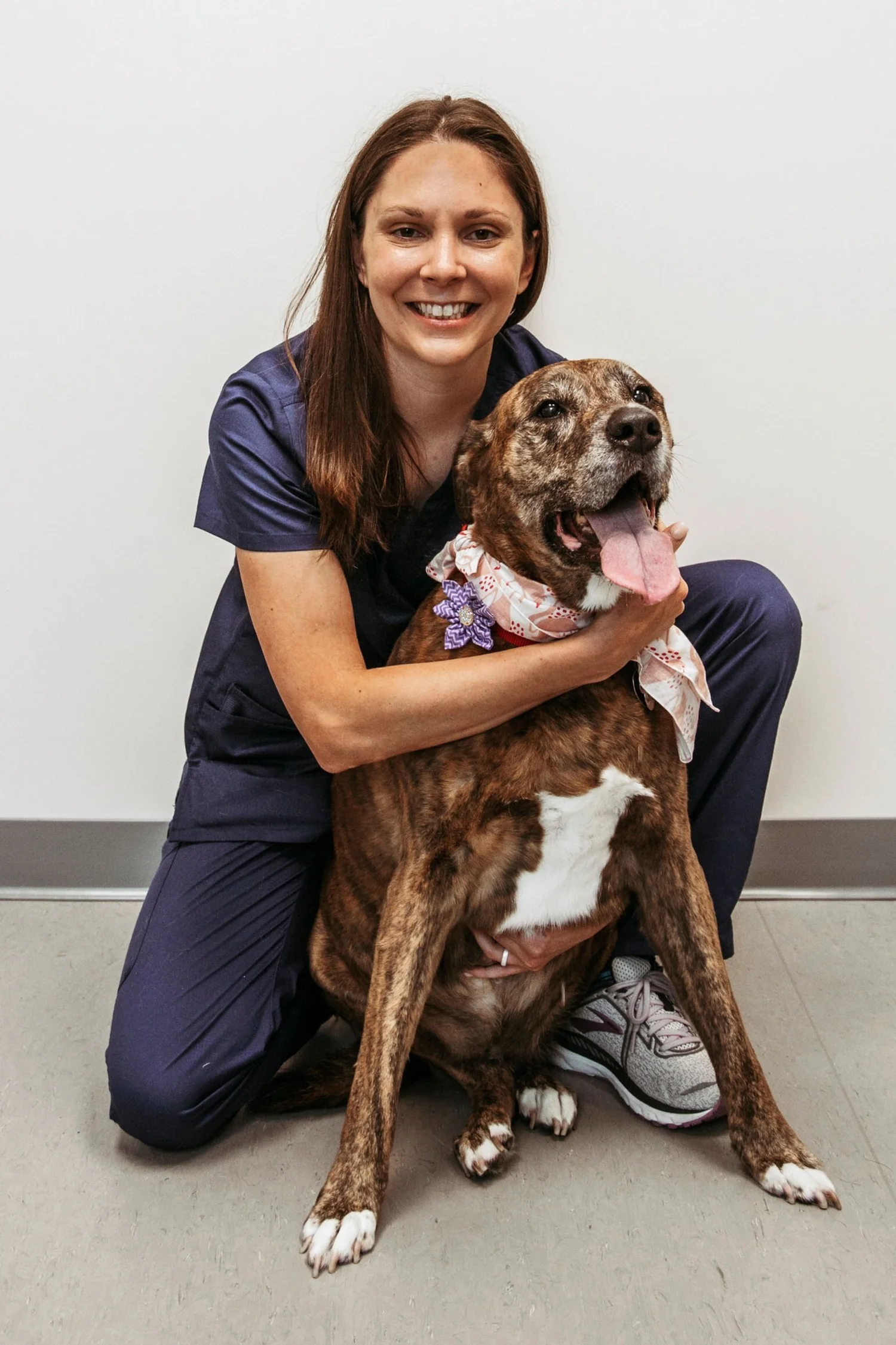 Our Team — VOMC - Veterinary Orthopaedic and Mobility Center