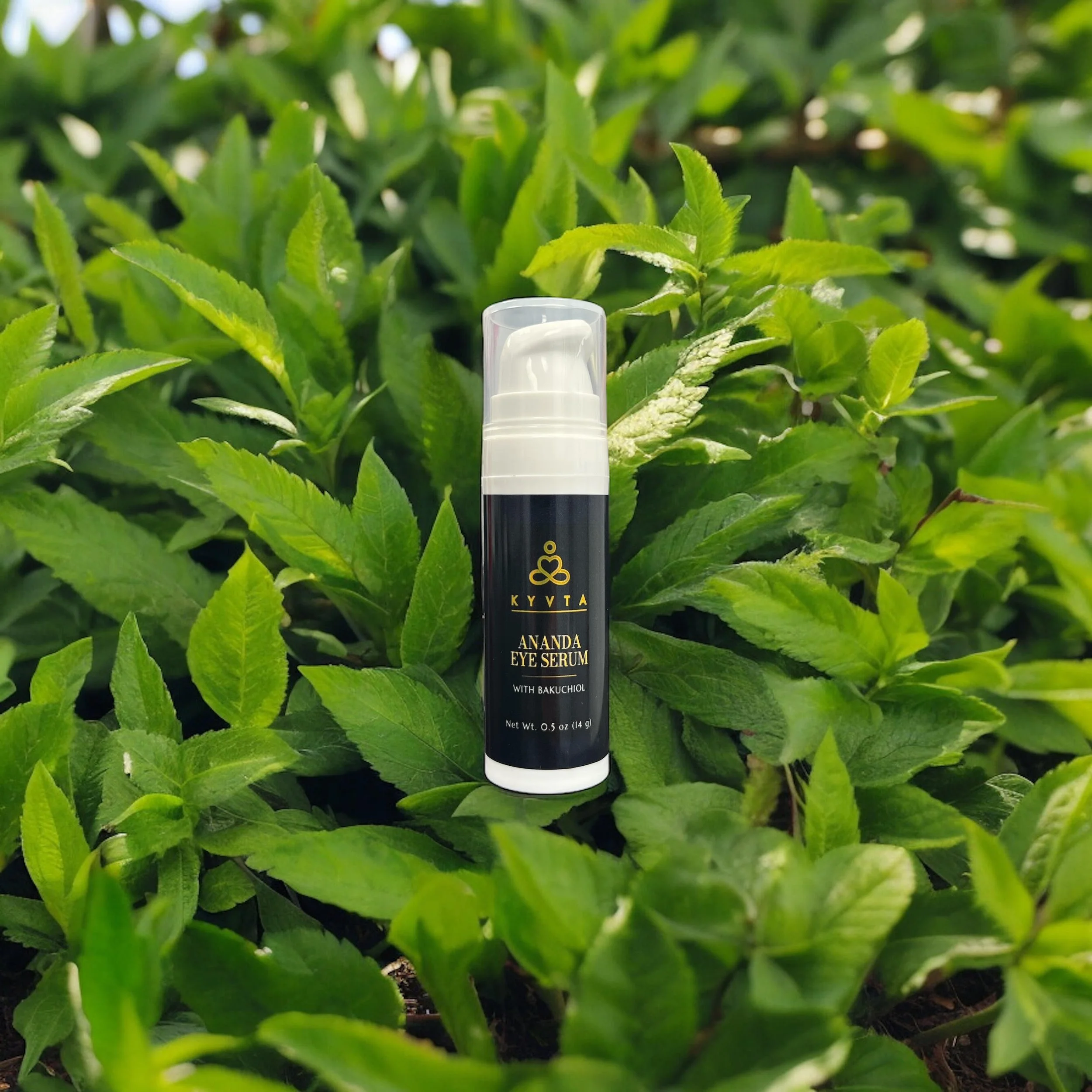 KYVTA - Ananda Night Oil — BE Mind Body Skin