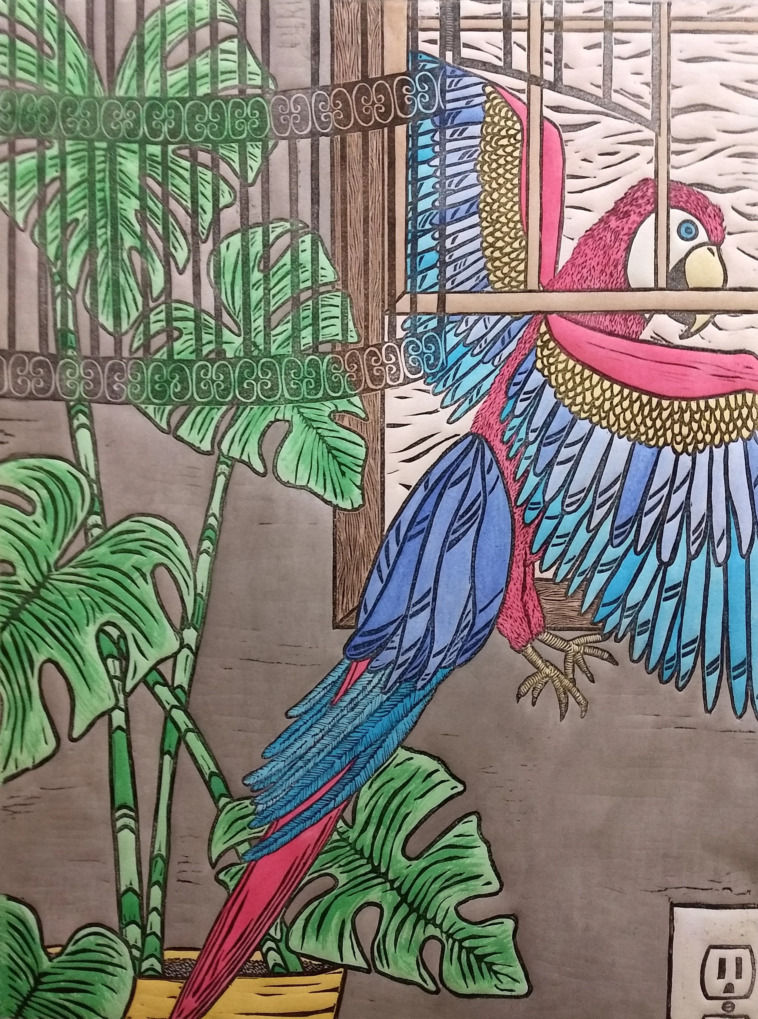 Cat Wondergem Art ,contemporary printmaker, shop — Cat Wondergem Art