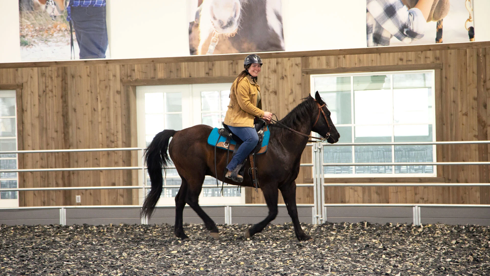 Women's Experience — Bridle Up Hope