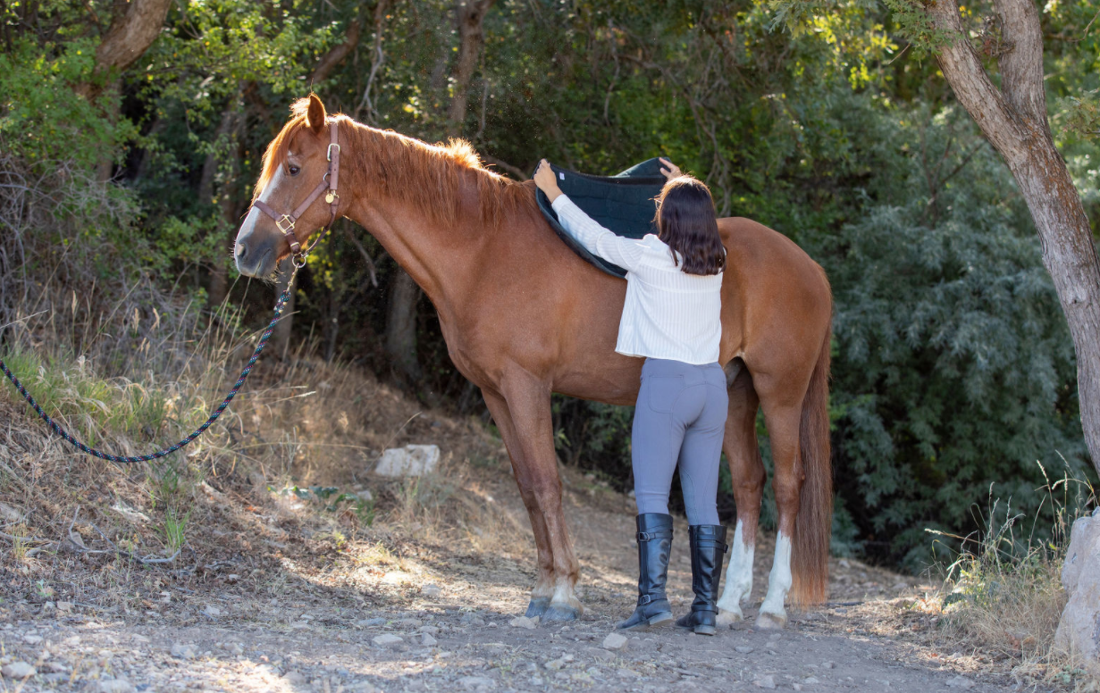 Stories — Bridle Up Hope