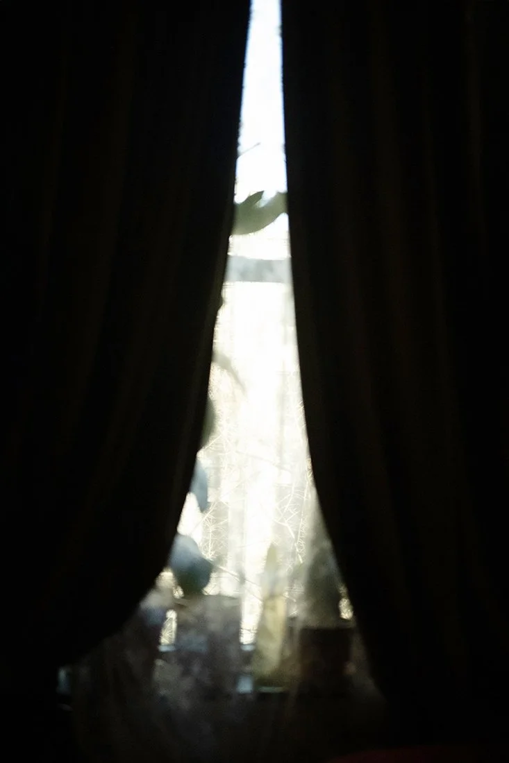 TIP OF THE DAY — DIOPTER — LETICIA VALDEZ FOTOGRAFIA