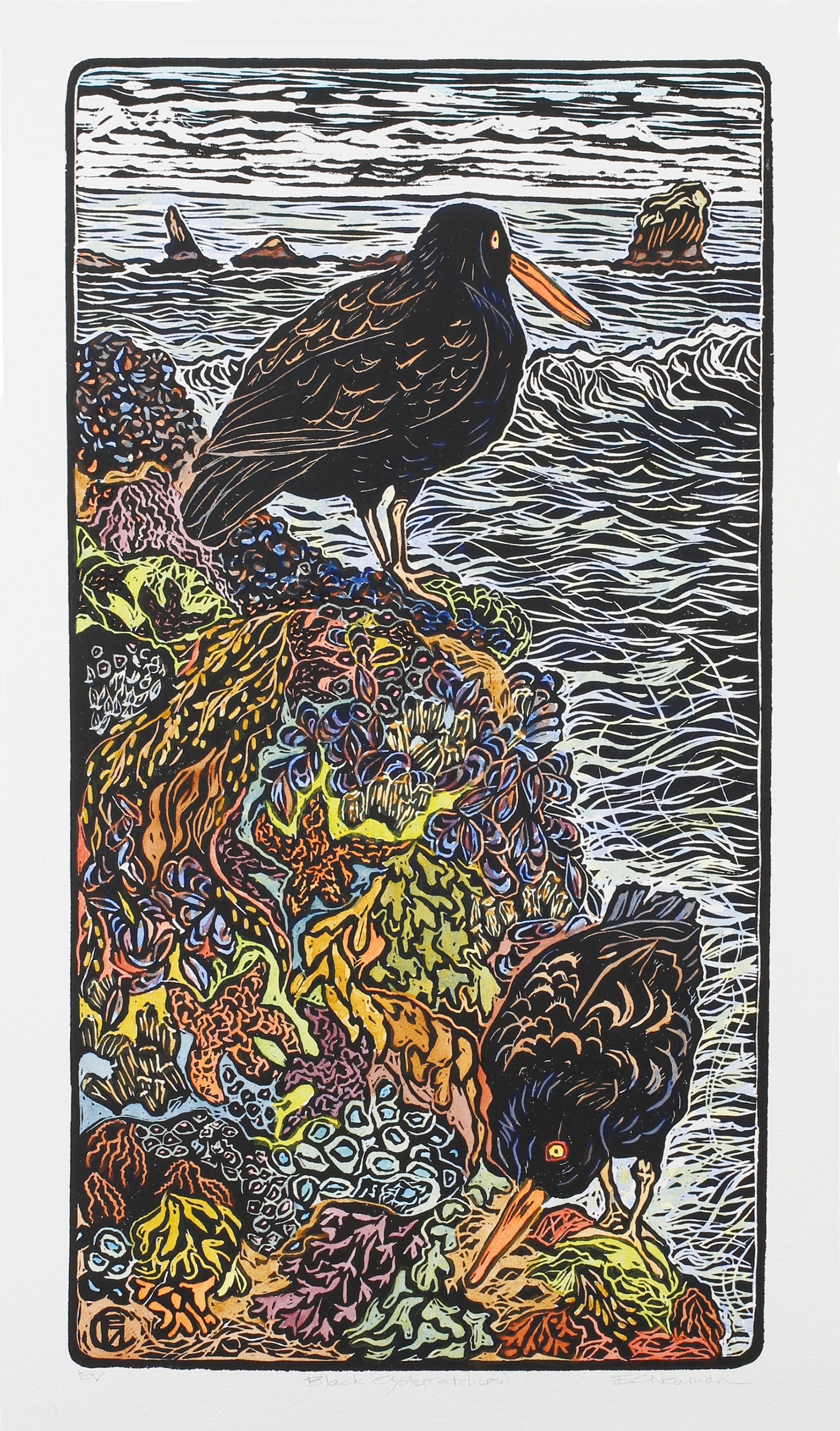 Elizabeth Neuman — Northwest Art Alliance