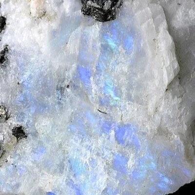 Moonstone | Curio House