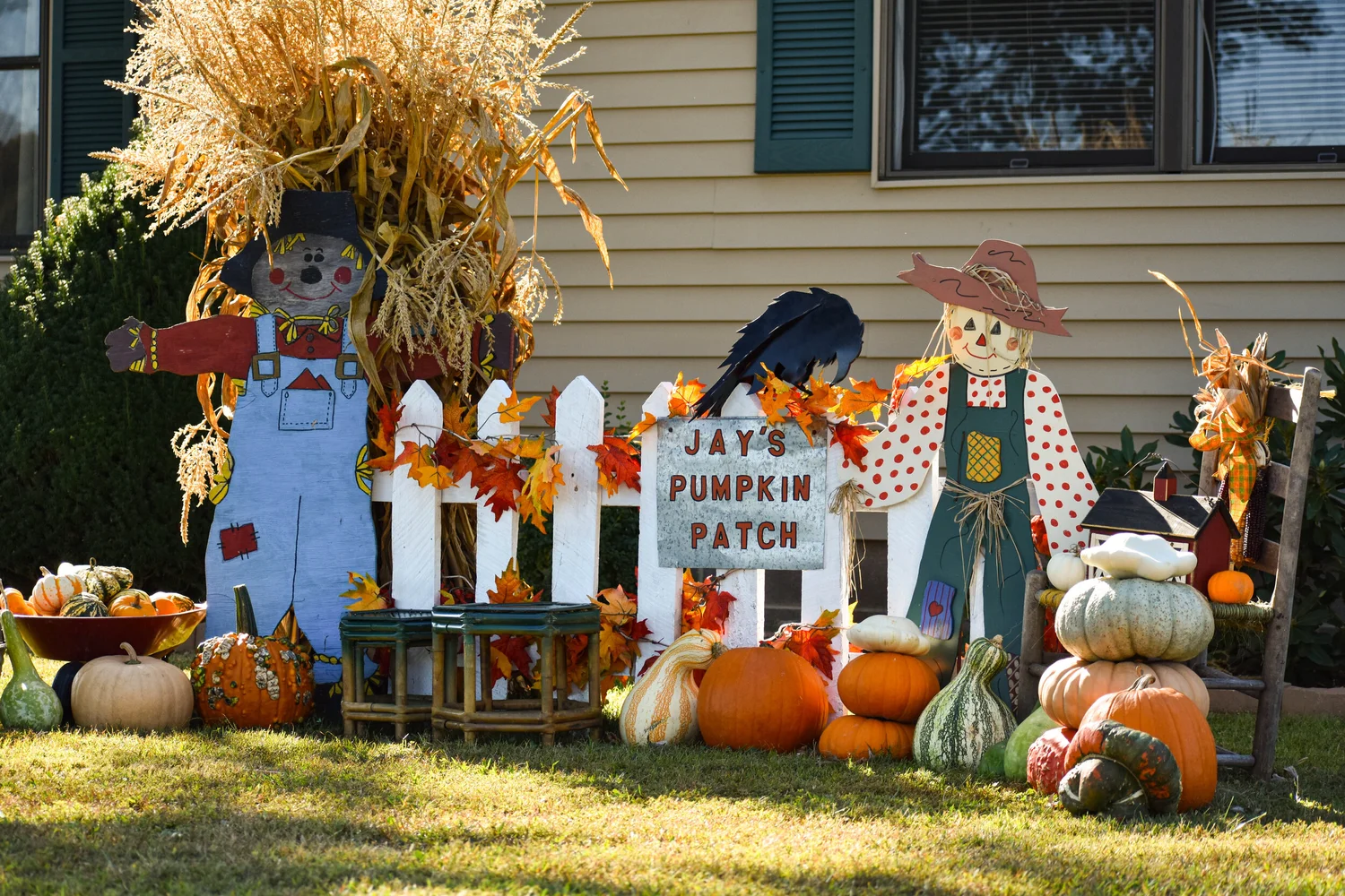 A Guide to Pumpkin Patches in Calloway County — Murray, Kentucky Tourism