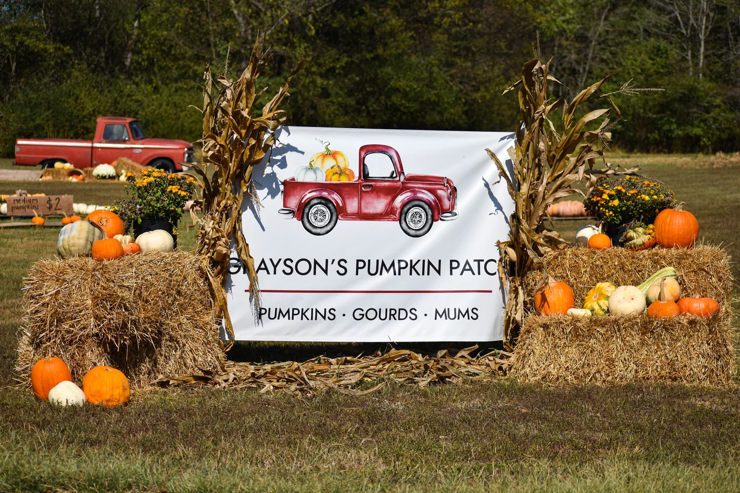A Guide to Pumpkin Patches in Calloway County — Murray, Kentucky Tourism