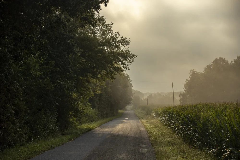 Murray, Kentucky Tourism