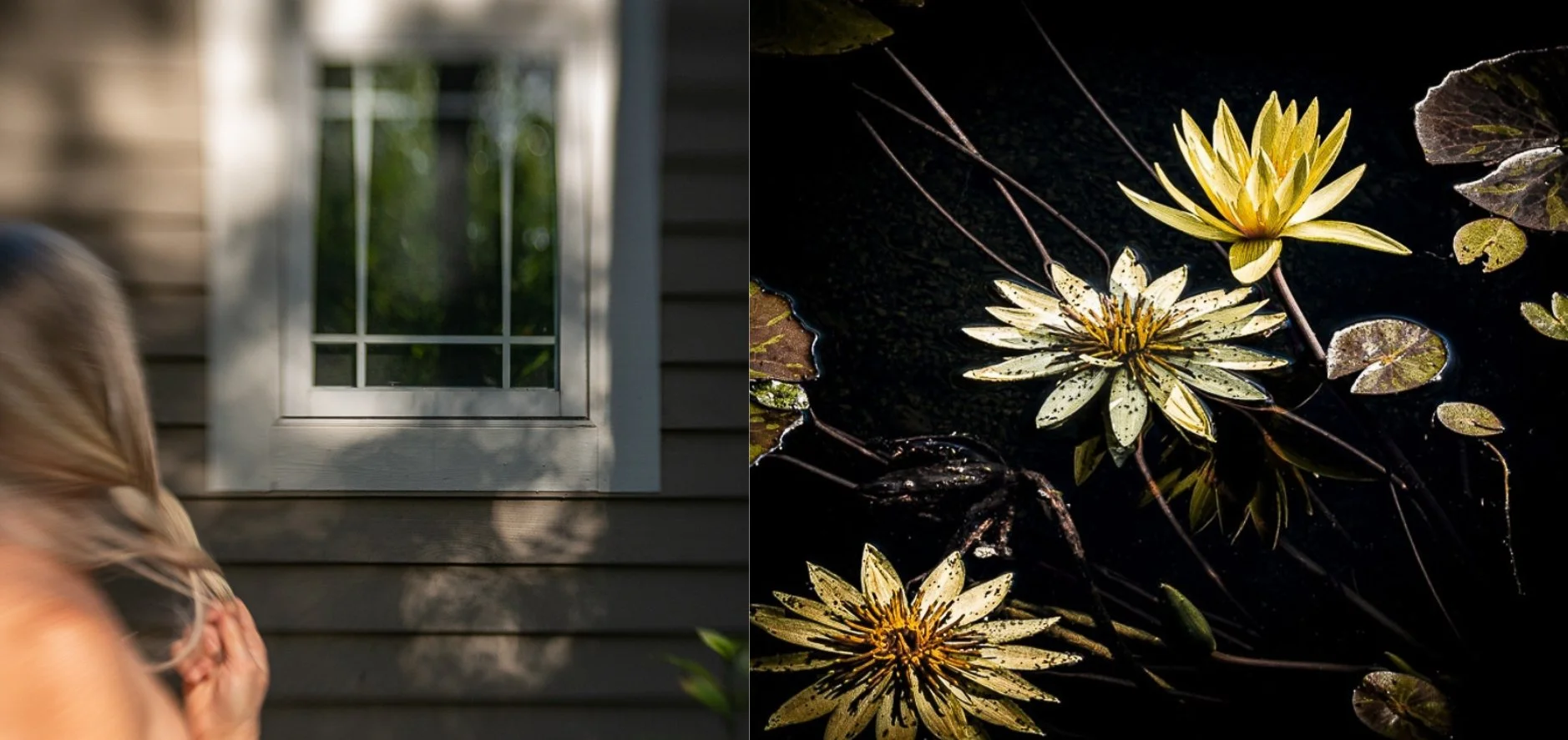 Past Exhibitions — Perspective Gallery