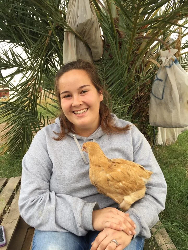 Nikki's Chickies