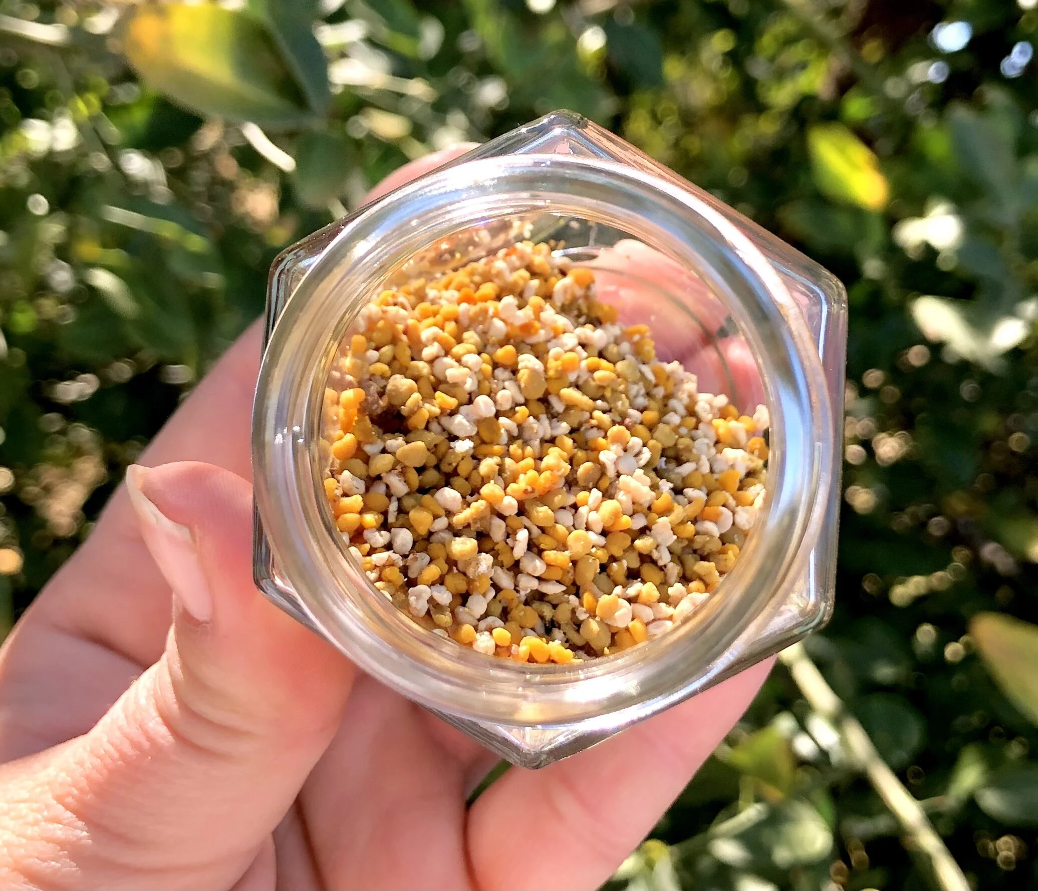 Shop — Nikki's Chickies
