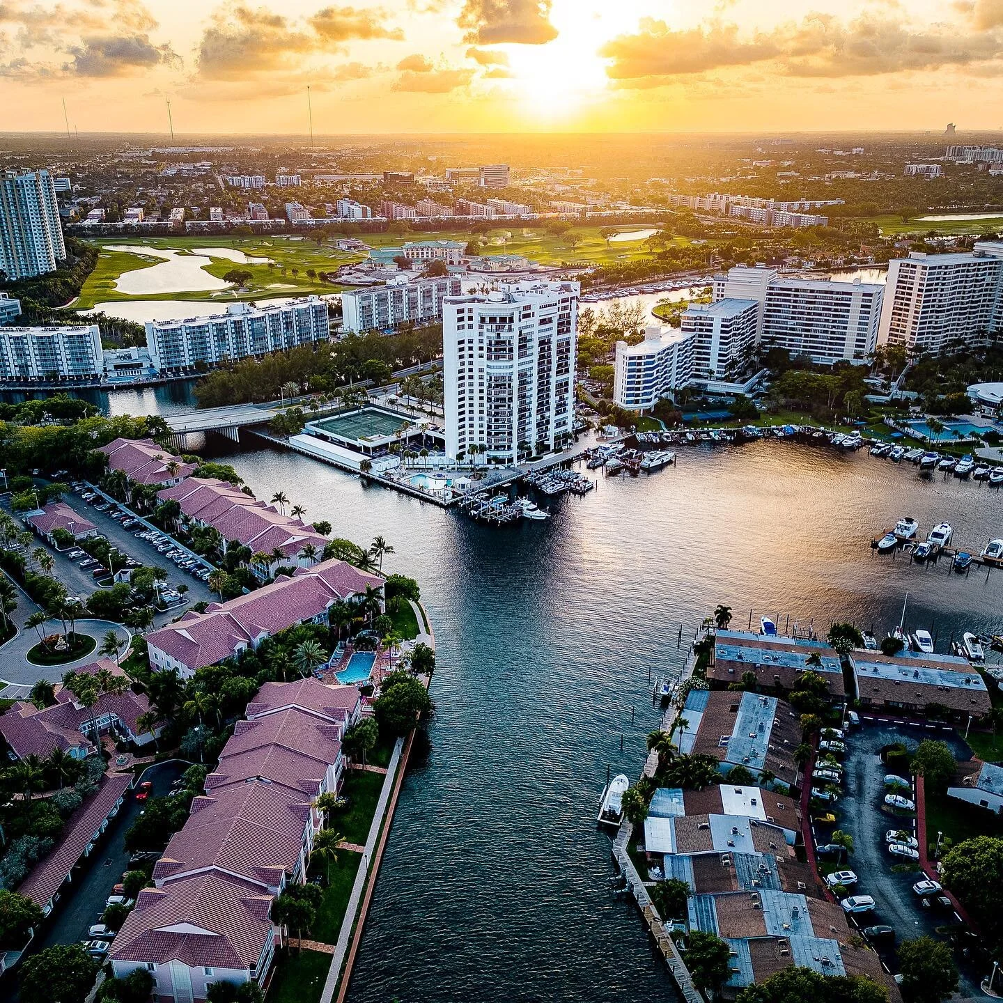 Colin Sandeman-Allen