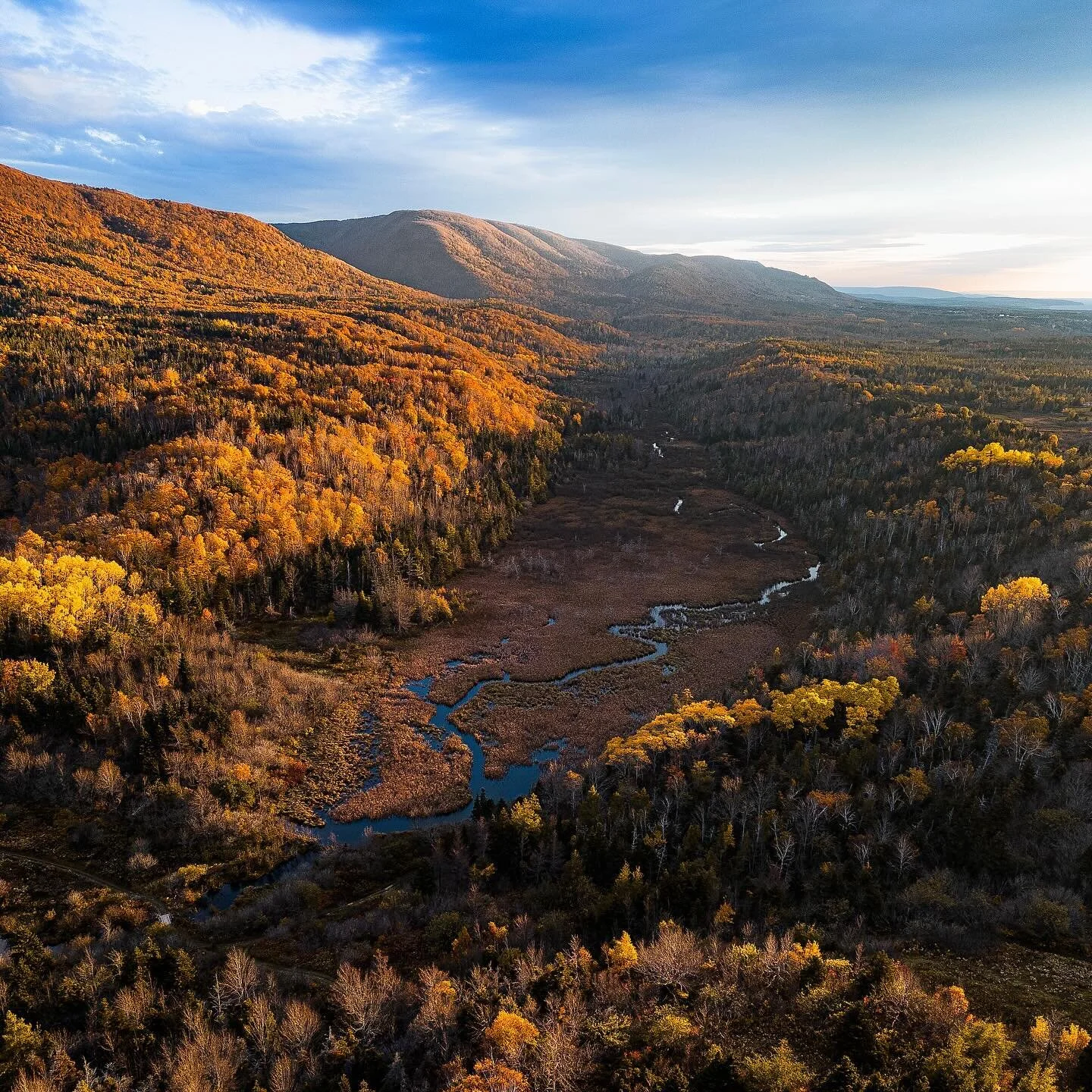 Colin Sandeman-Allen