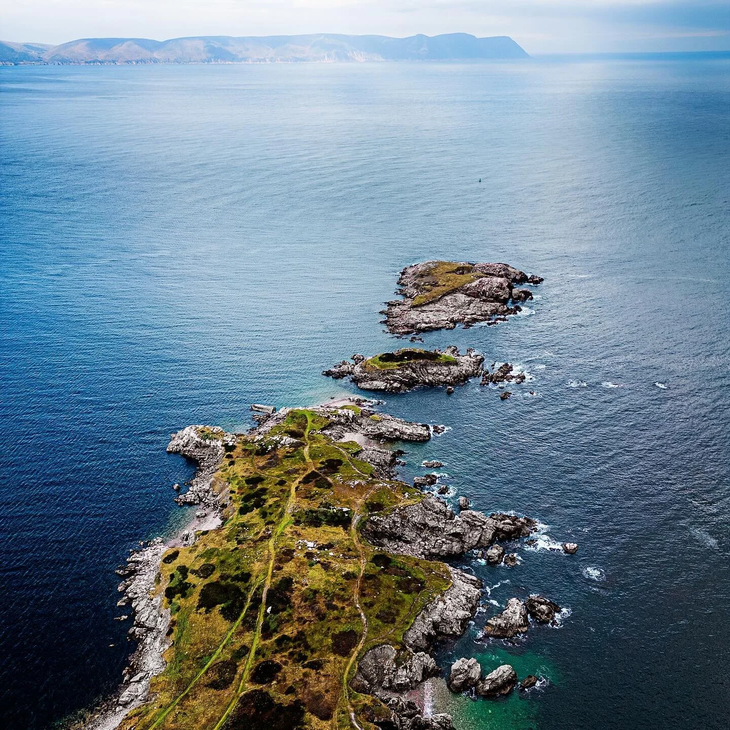 Colin Sandeman-Allen