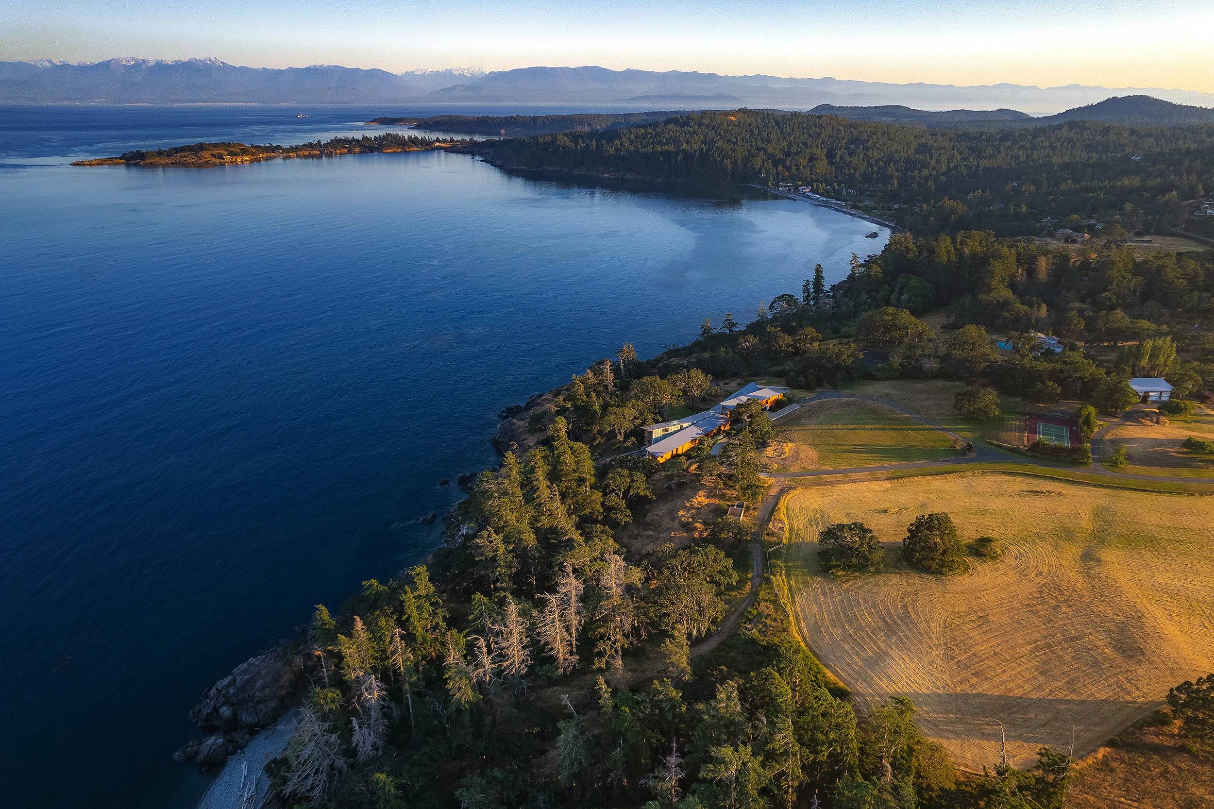 Colin Sandeman-Allen