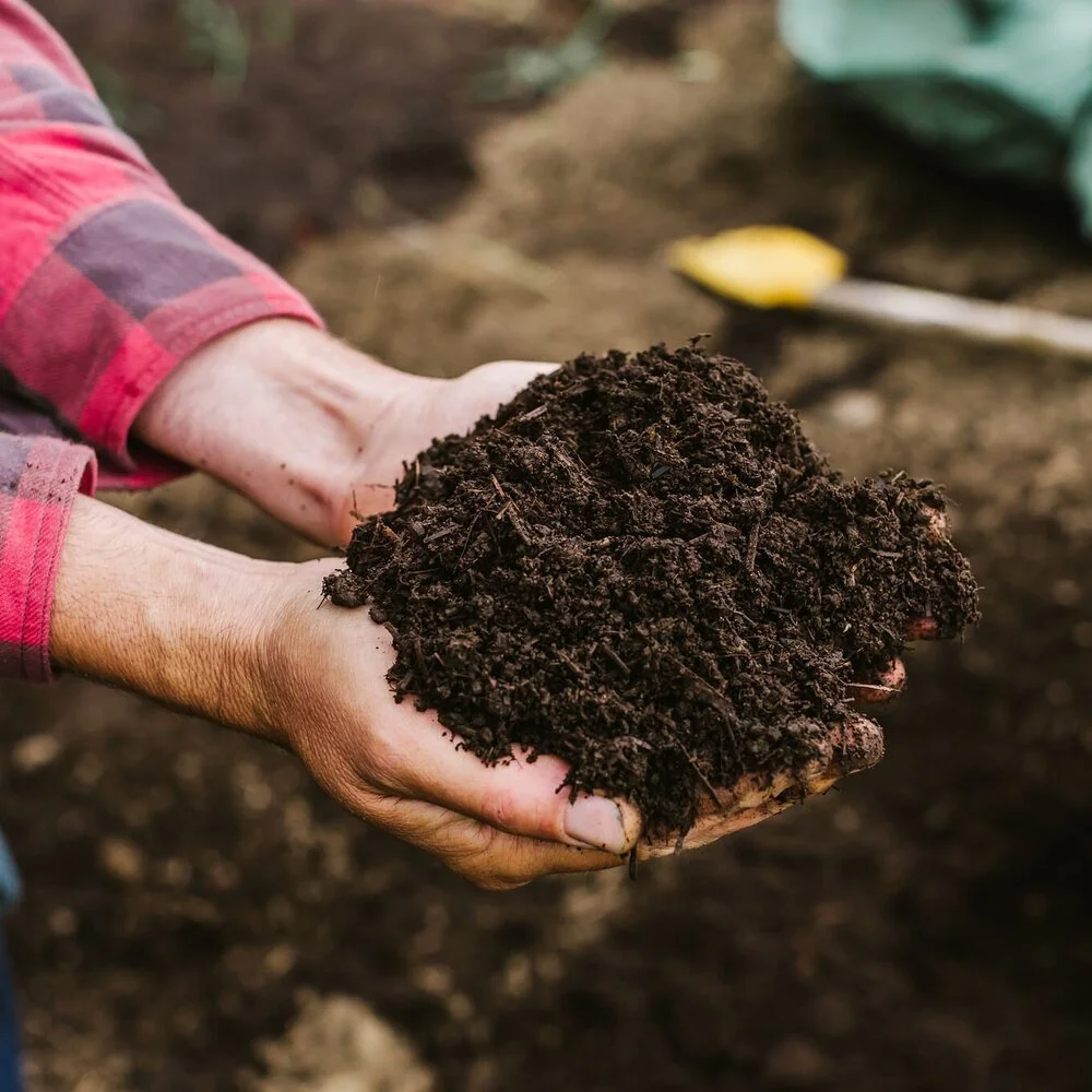 Compost Earth! Workshop — CAVE CREEK FARM