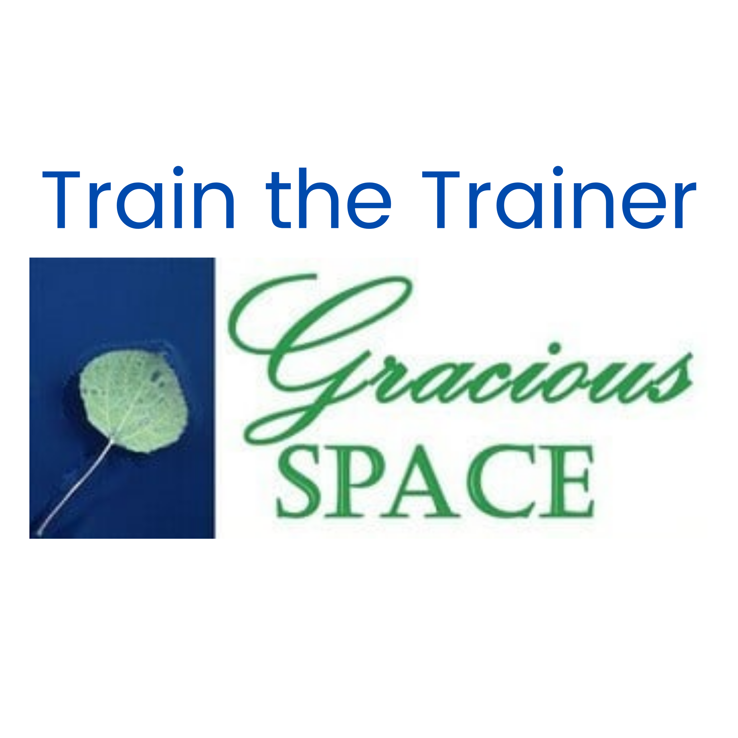 Fall 2025 Gracious Space Mastery and Certification (virtual) — Trillium ...