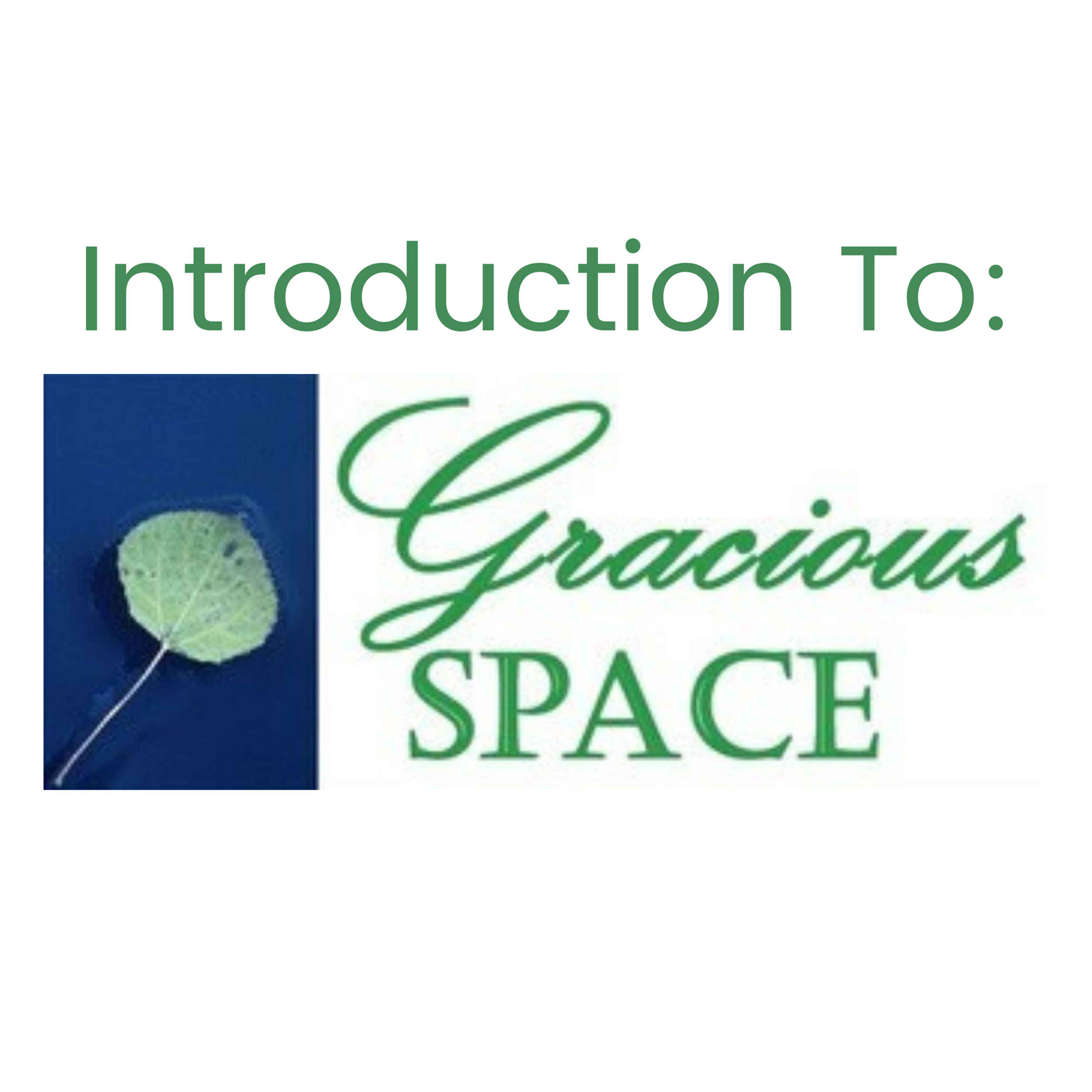 Store 1 — Trillium Leadership Consulting