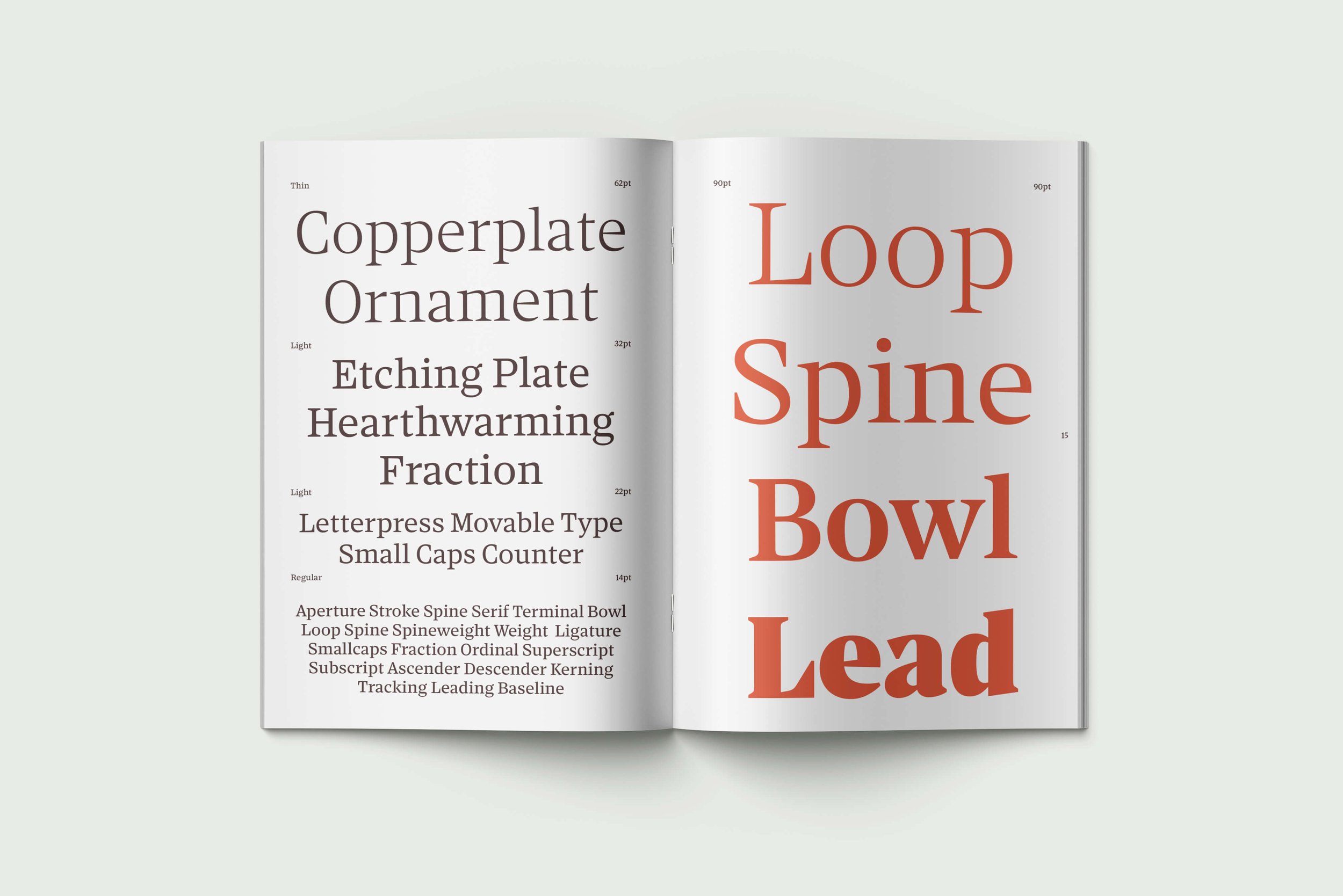 A5 Type Specimen Template — Type Design Class