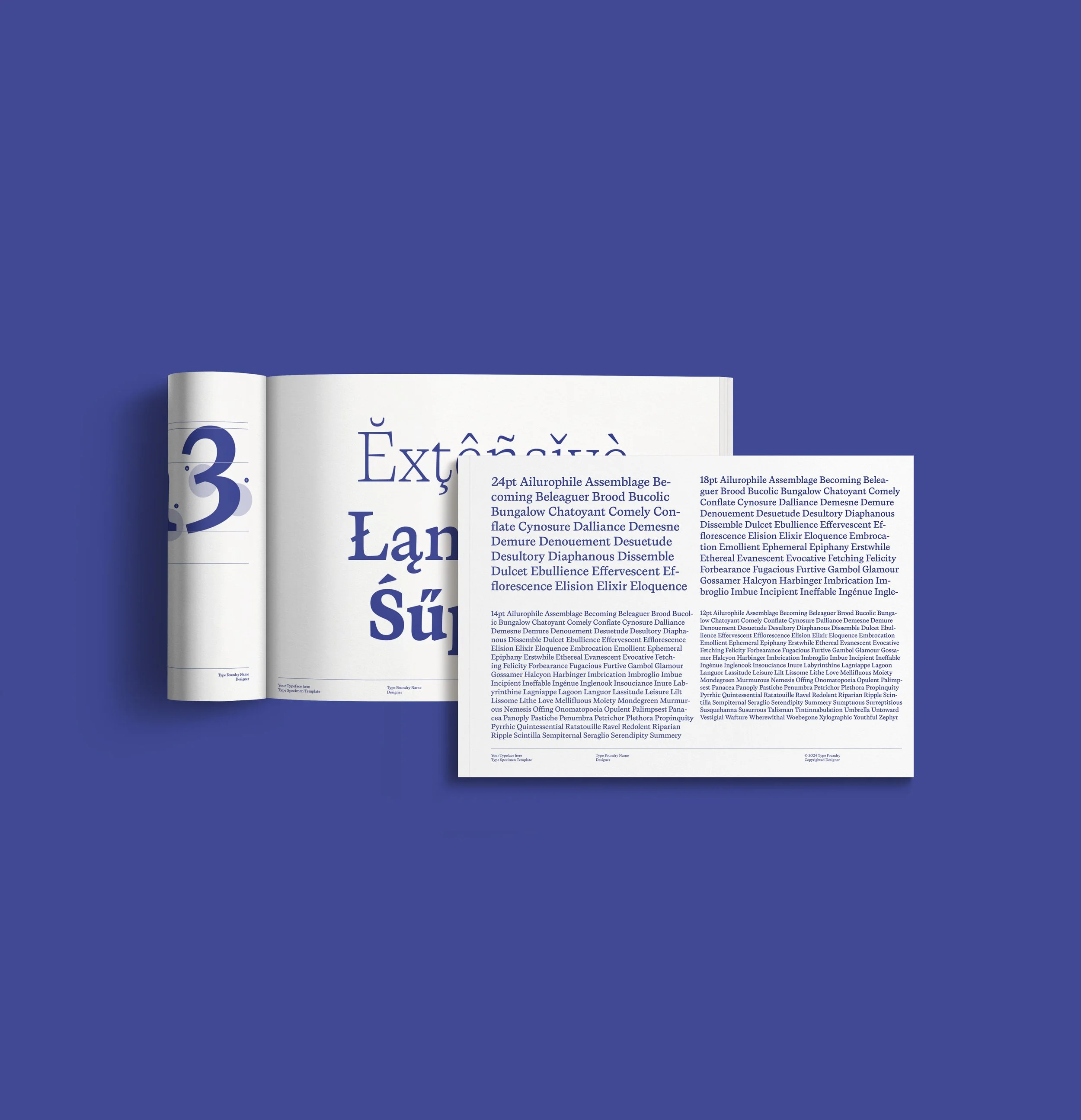 Type Specimen Template — Type Design Class