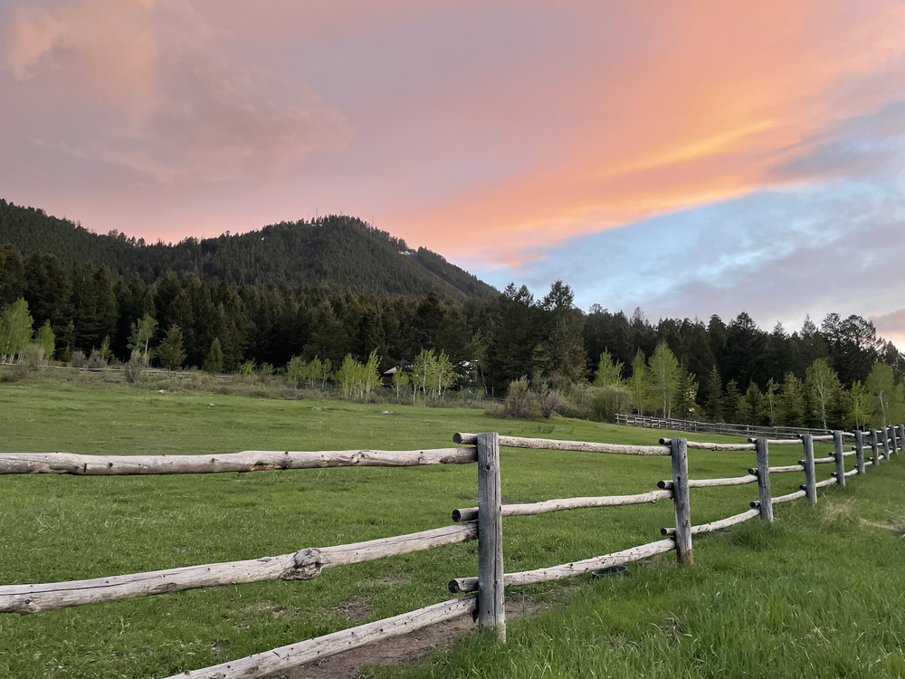 Listings — Open Spaces Real Estate