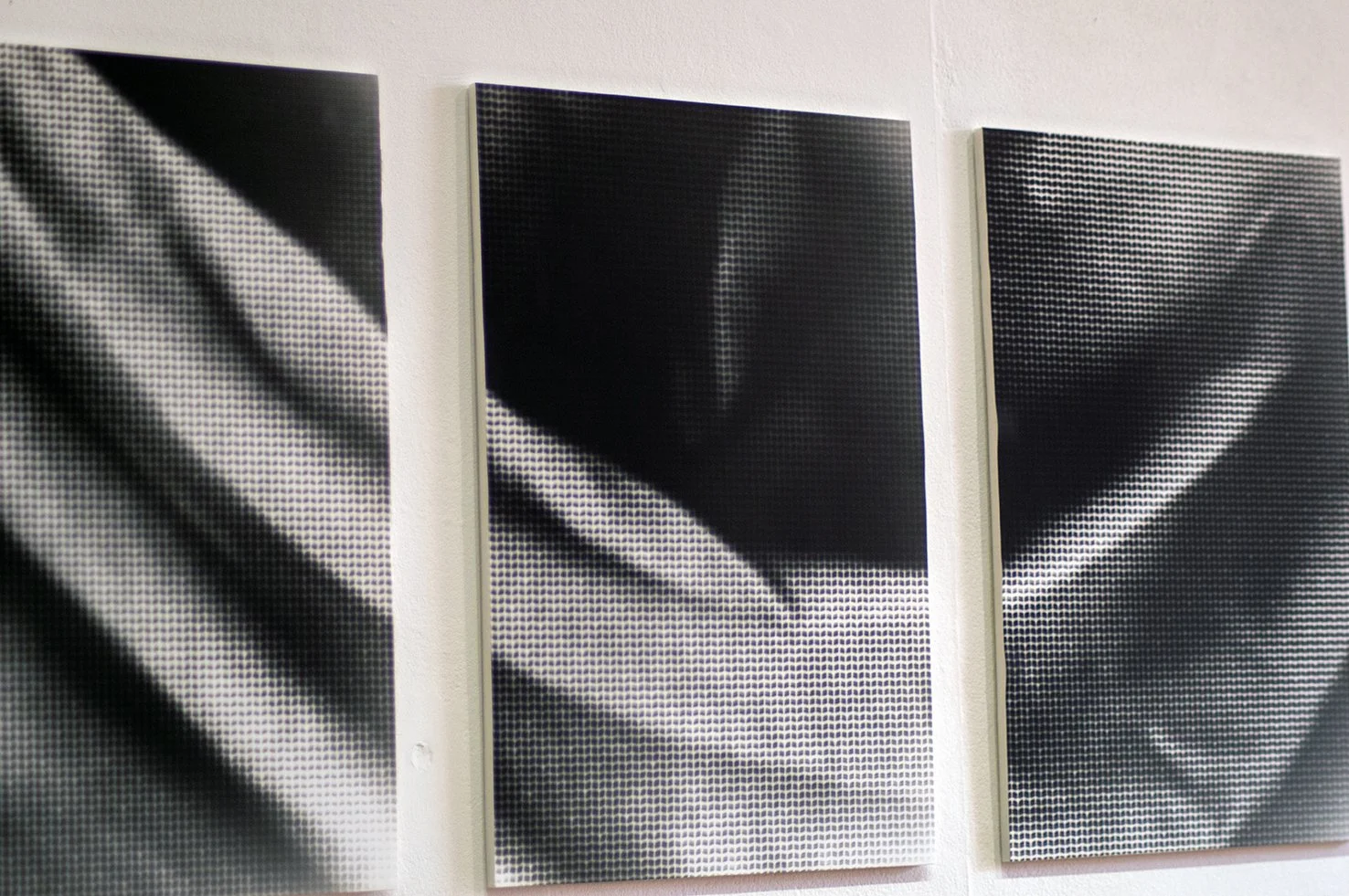 Maryanne Royle — Ebor Studio