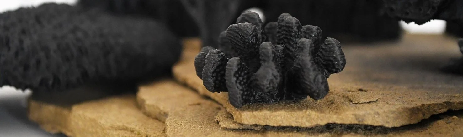 Immersive Watergrove — Ebor Studio