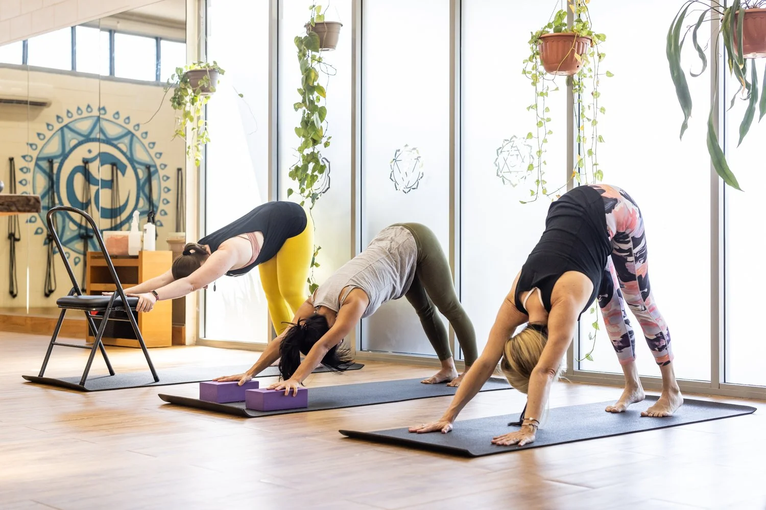 AGOY YOGA - Yoga in Darwin & Palmerston