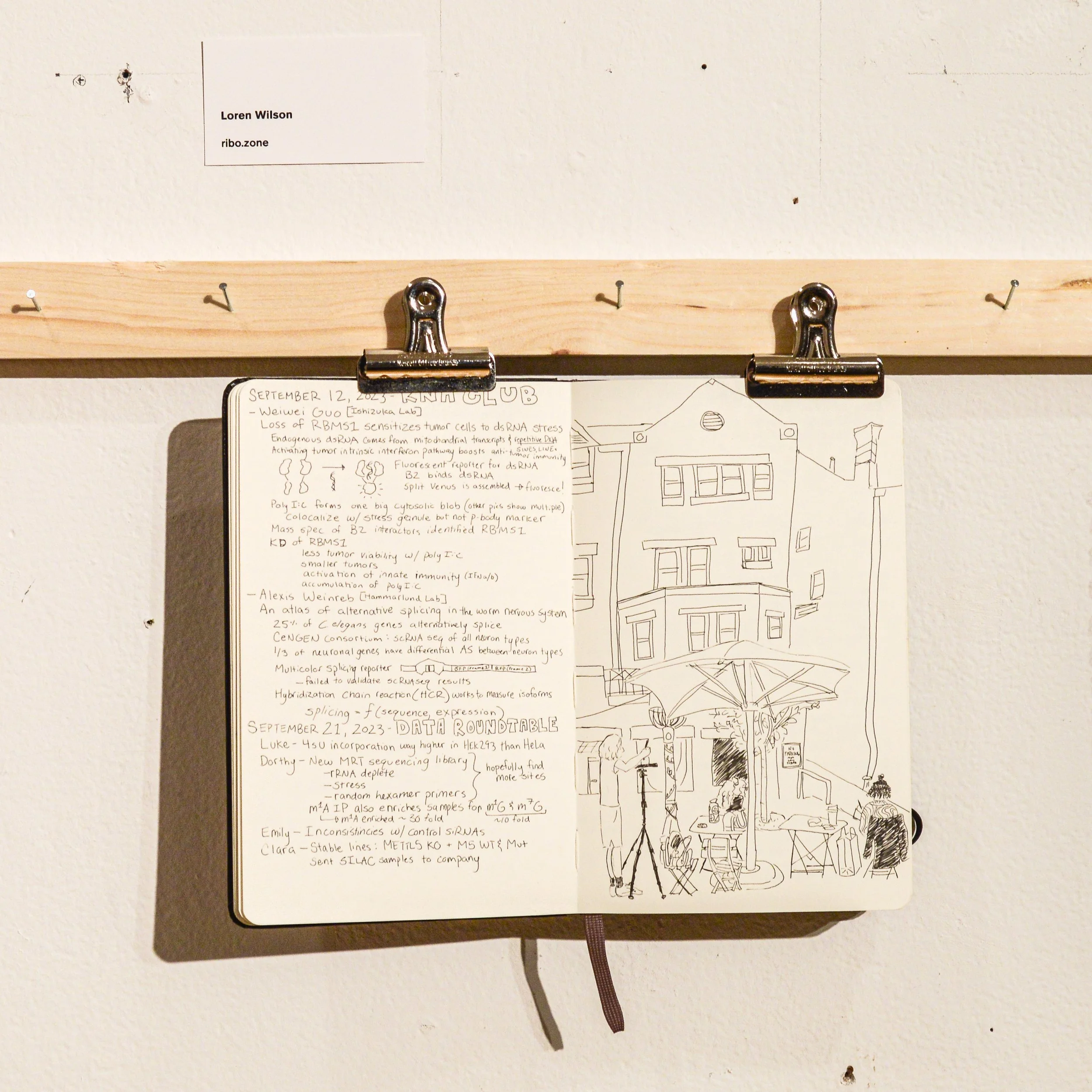 new haven sketchers share their view of the city at gallery — Cafeteria ...