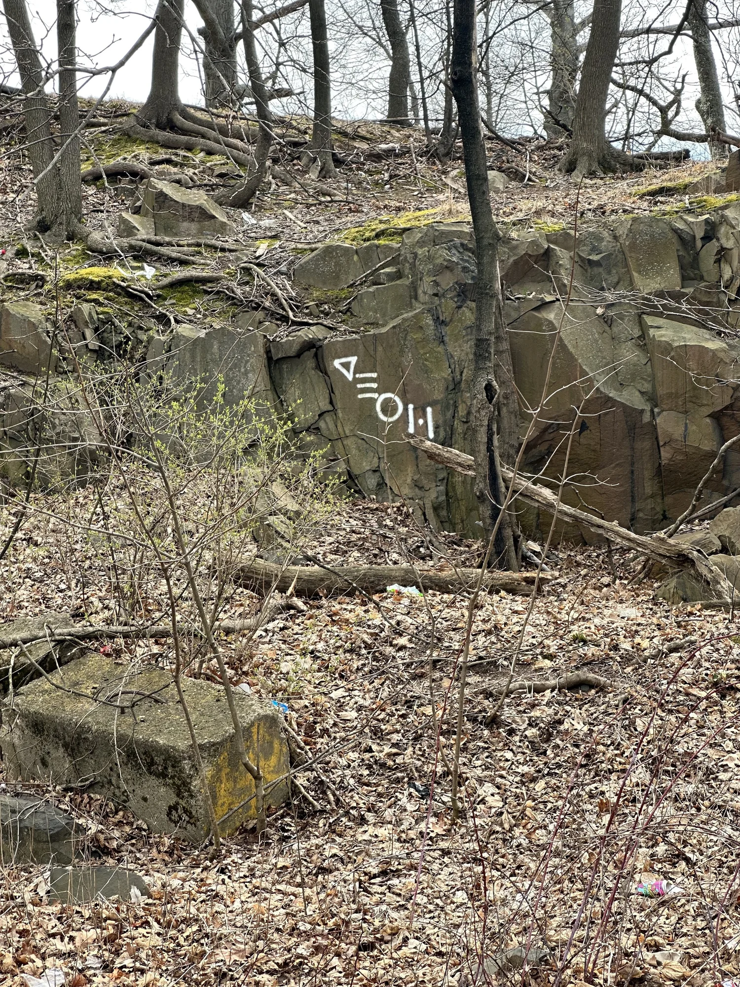 The Curious Case of VEO: A Journey Through the Mysteries of Visual ...