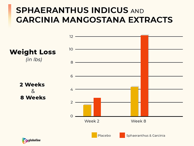 What Is TAKA Trim? Globallee Product Review — The BeneFitters