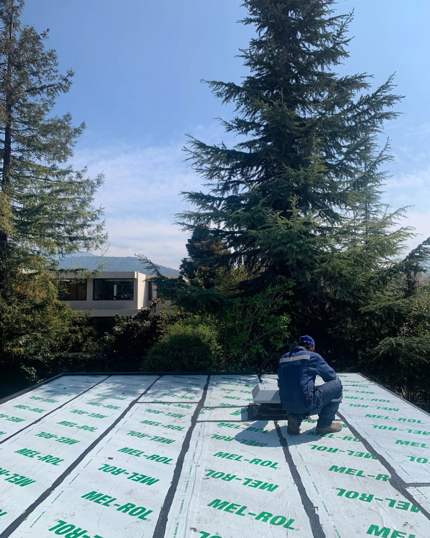 MEL-ROL-Kactus impermeabilización