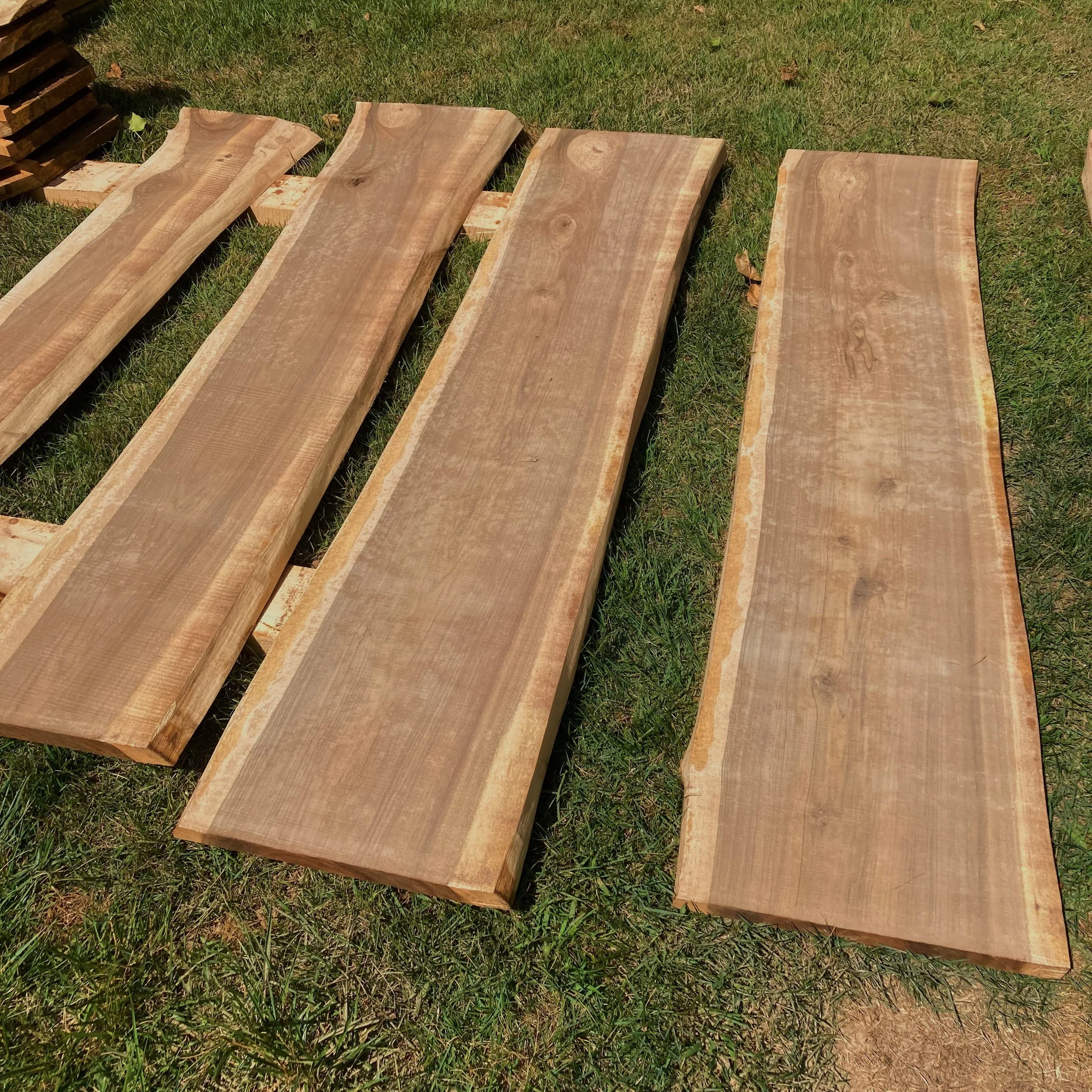 Store 2 — Campy's Designs