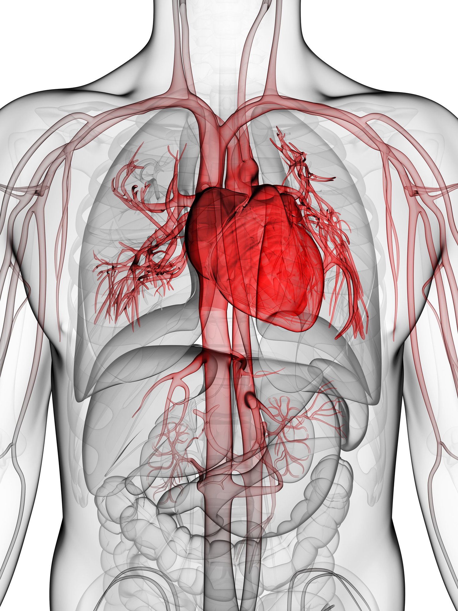 Lucid Labs | Engineering & Precision Machining