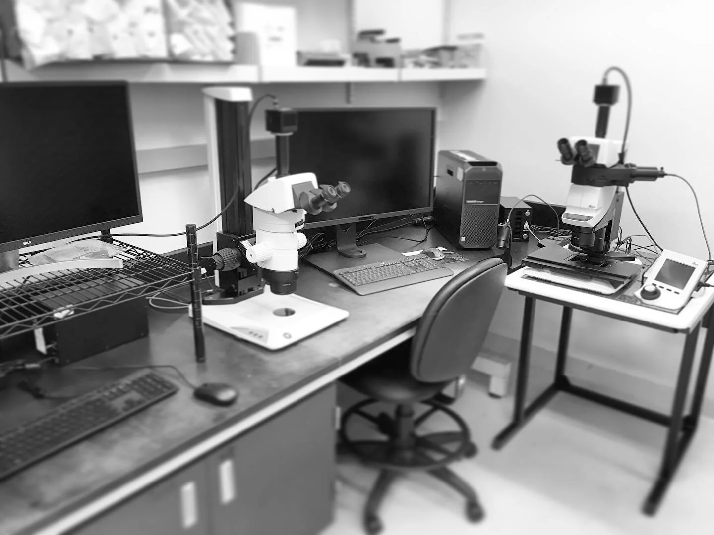 Connect — WILES LAB