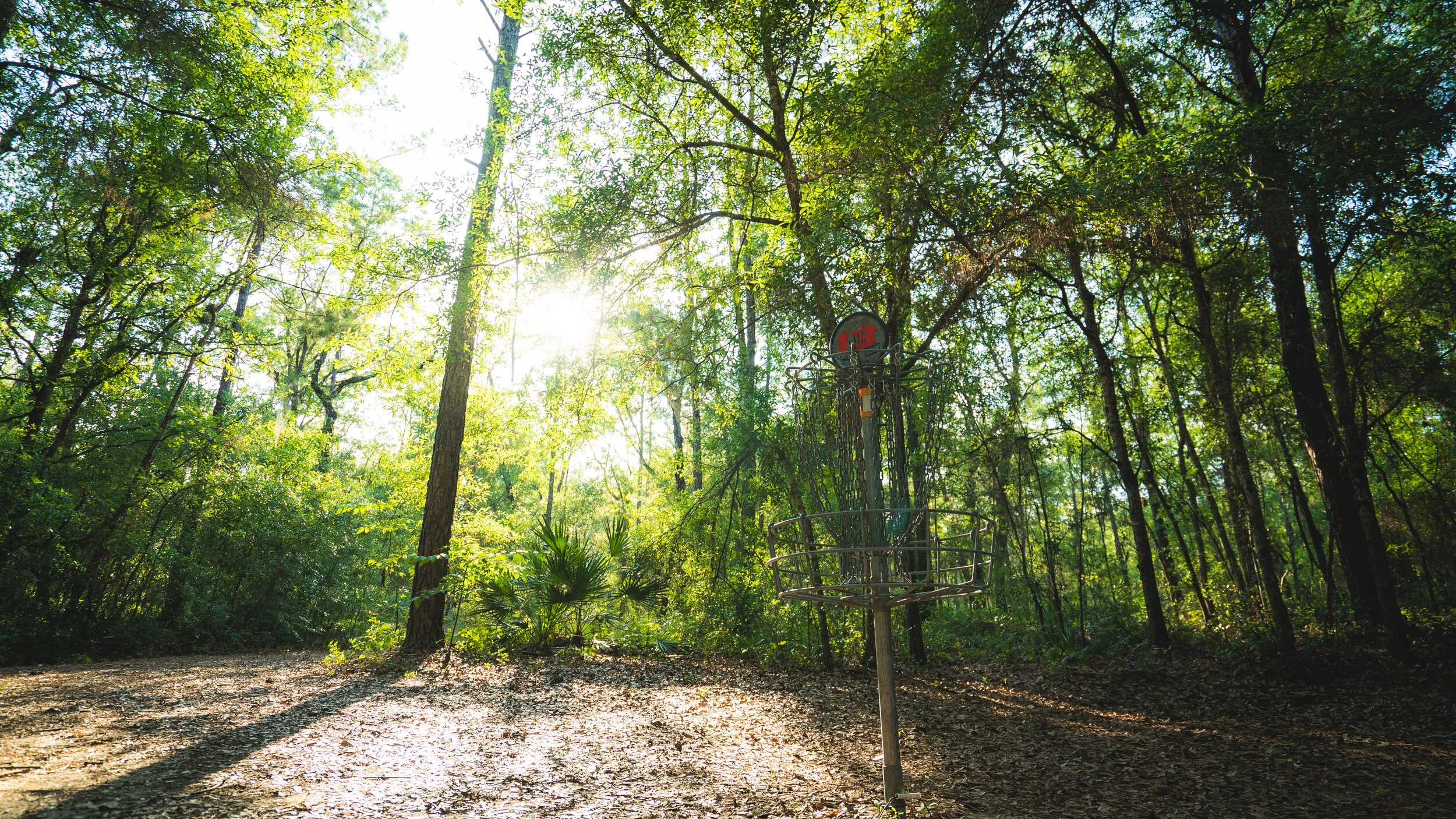 Gallery 2 — OCALA GREENWAY DISC GOLF COURSE
