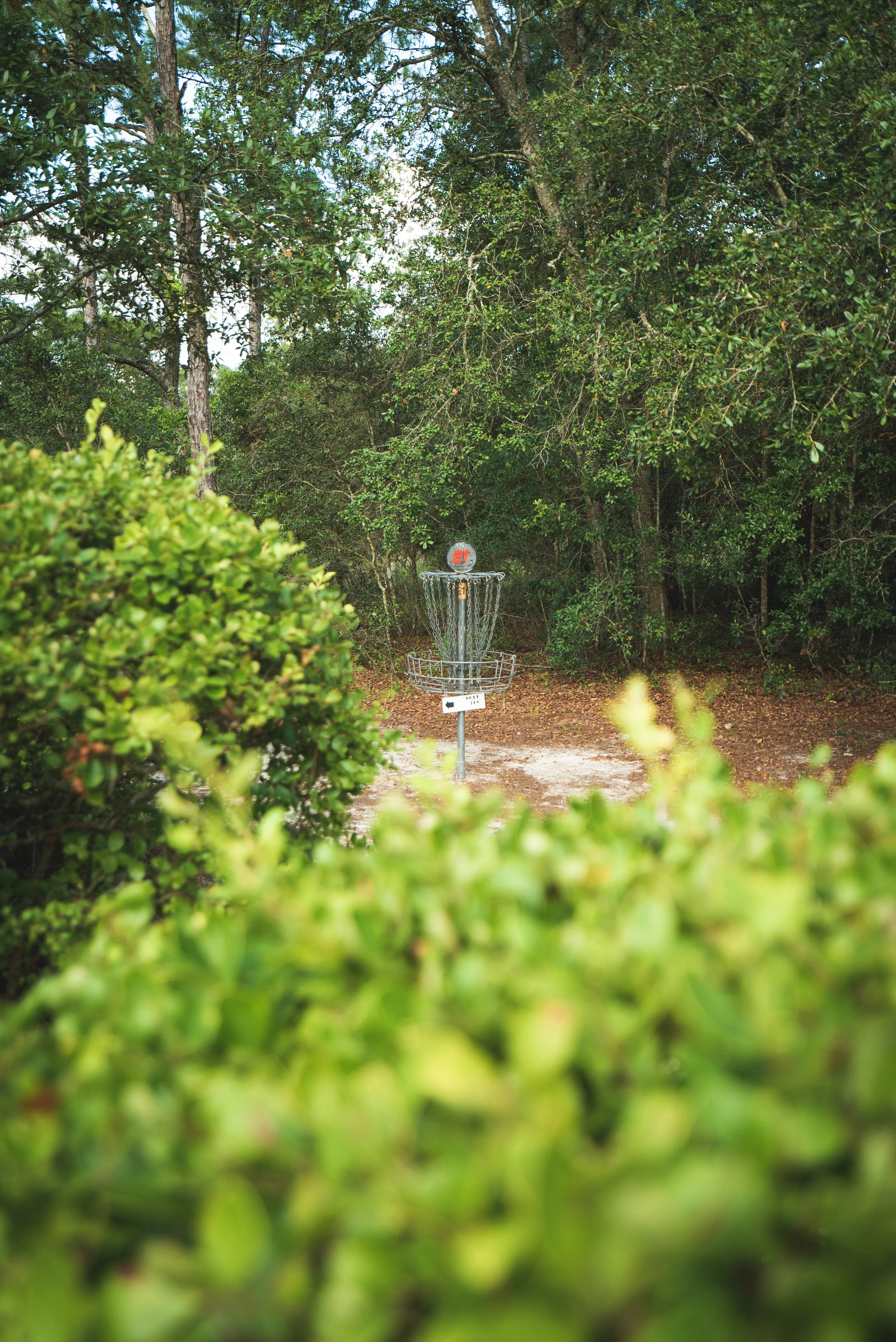 Gallery 2 — OCALA GREENWAY DISC GOLF COURSE