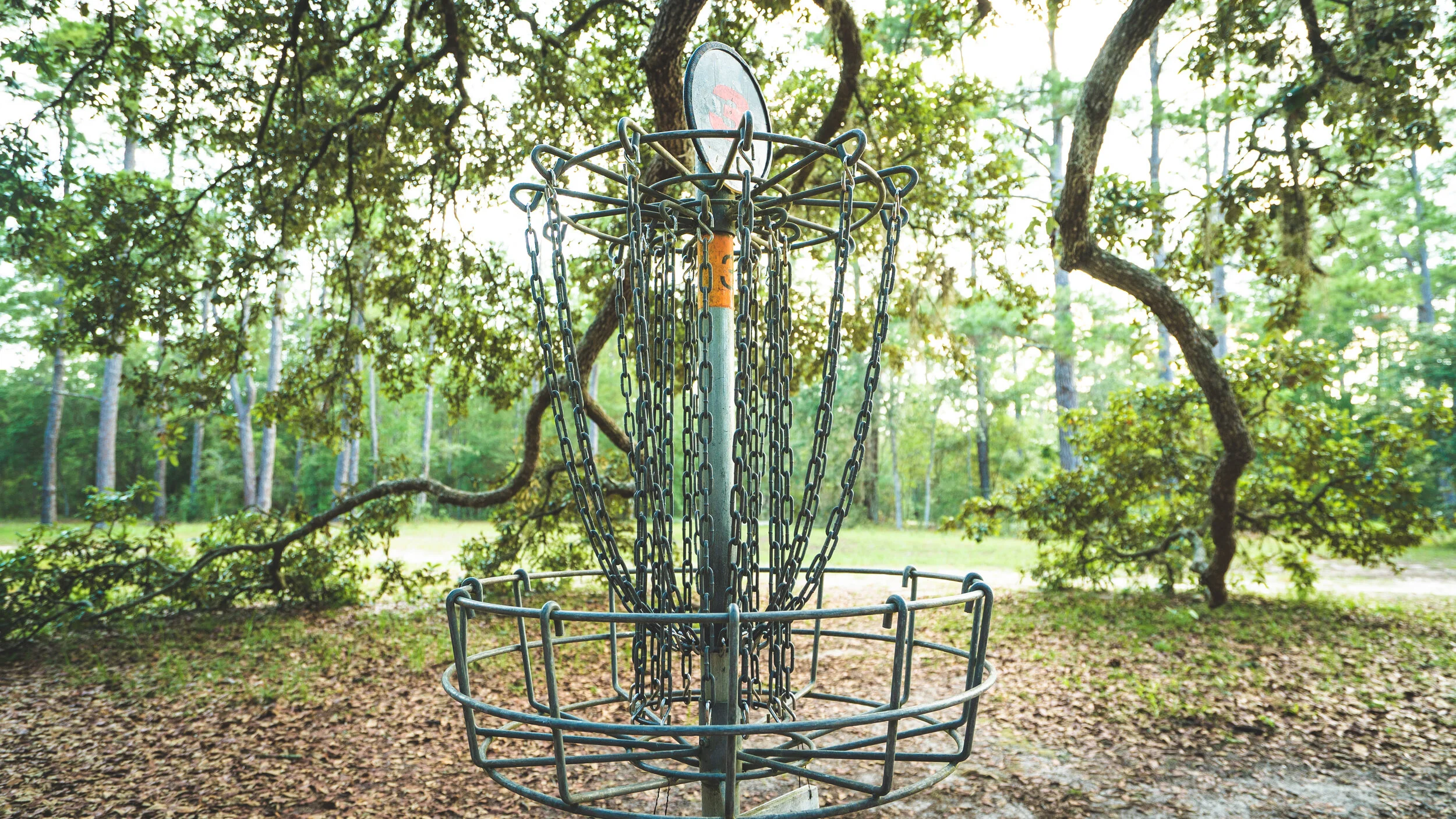 Gallery 2 — OCALA GREENWAY DISC GOLF COURSE