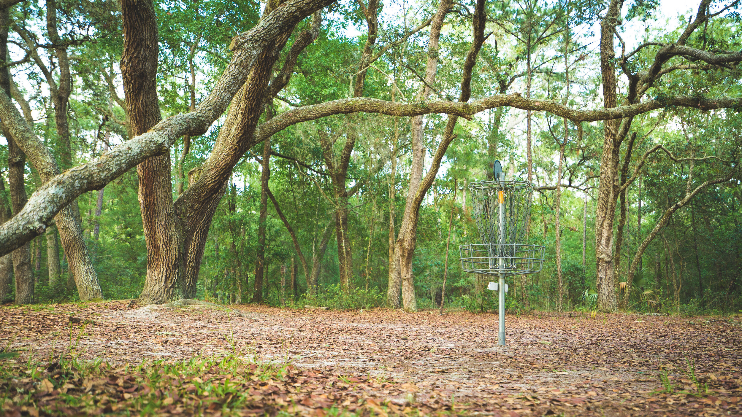 Gallery 2 — OCALA GREENWAY DISC GOLF COURSE