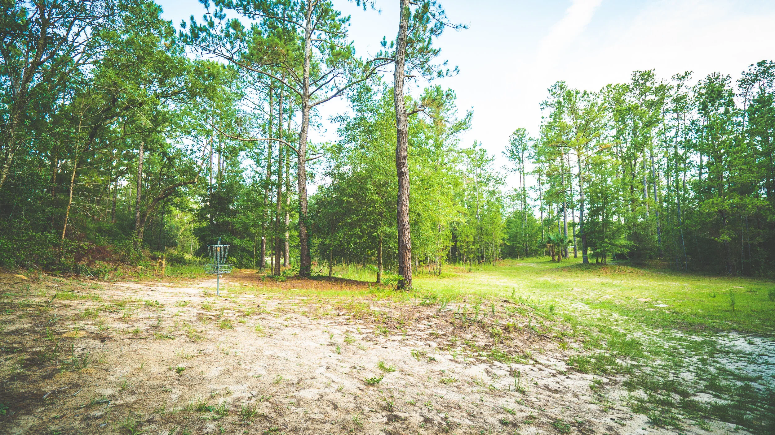 Gallery 2 — OCALA GREENWAY DISC GOLF COURSE