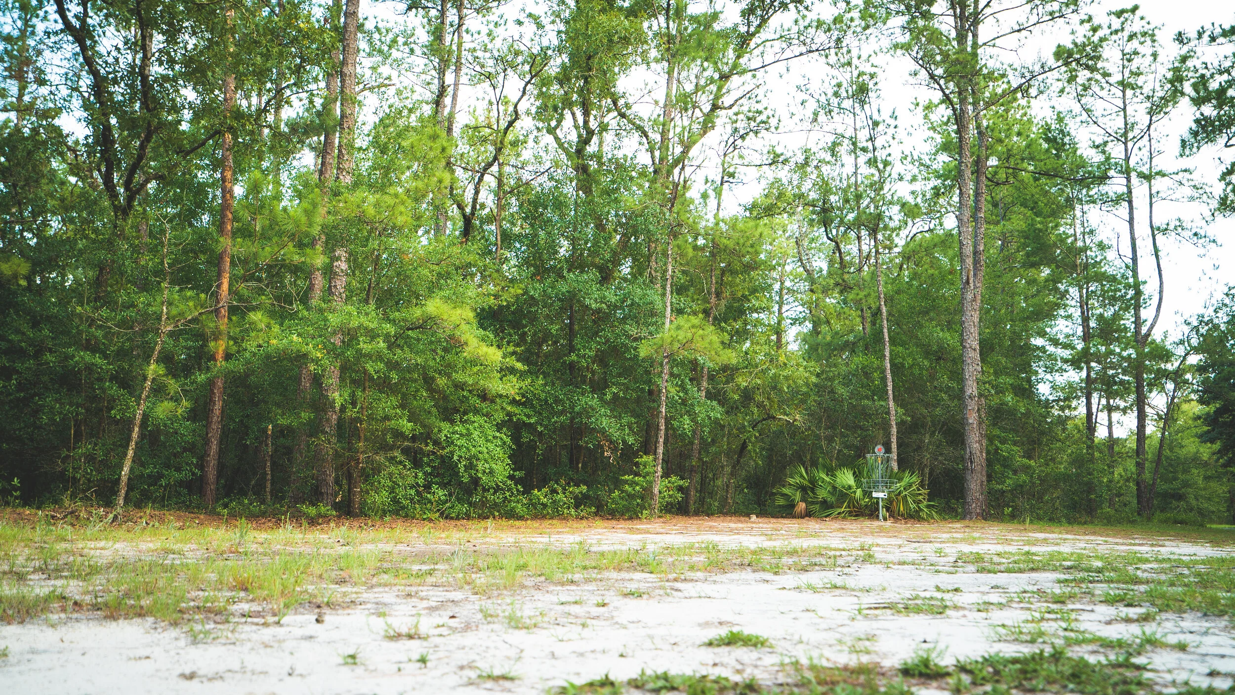 Gallery 2 — OCALA GREENWAY DISC GOLF COURSE