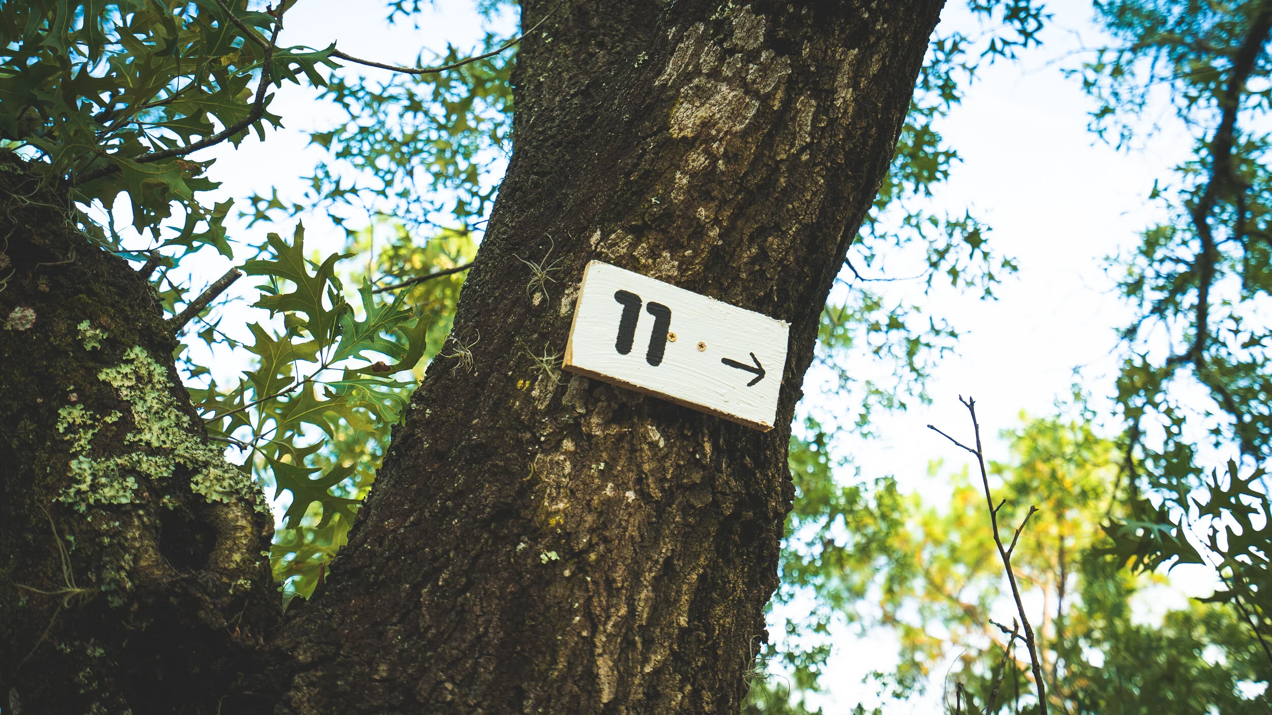 Gallery 2 — OCALA GREENWAY DISC GOLF COURSE