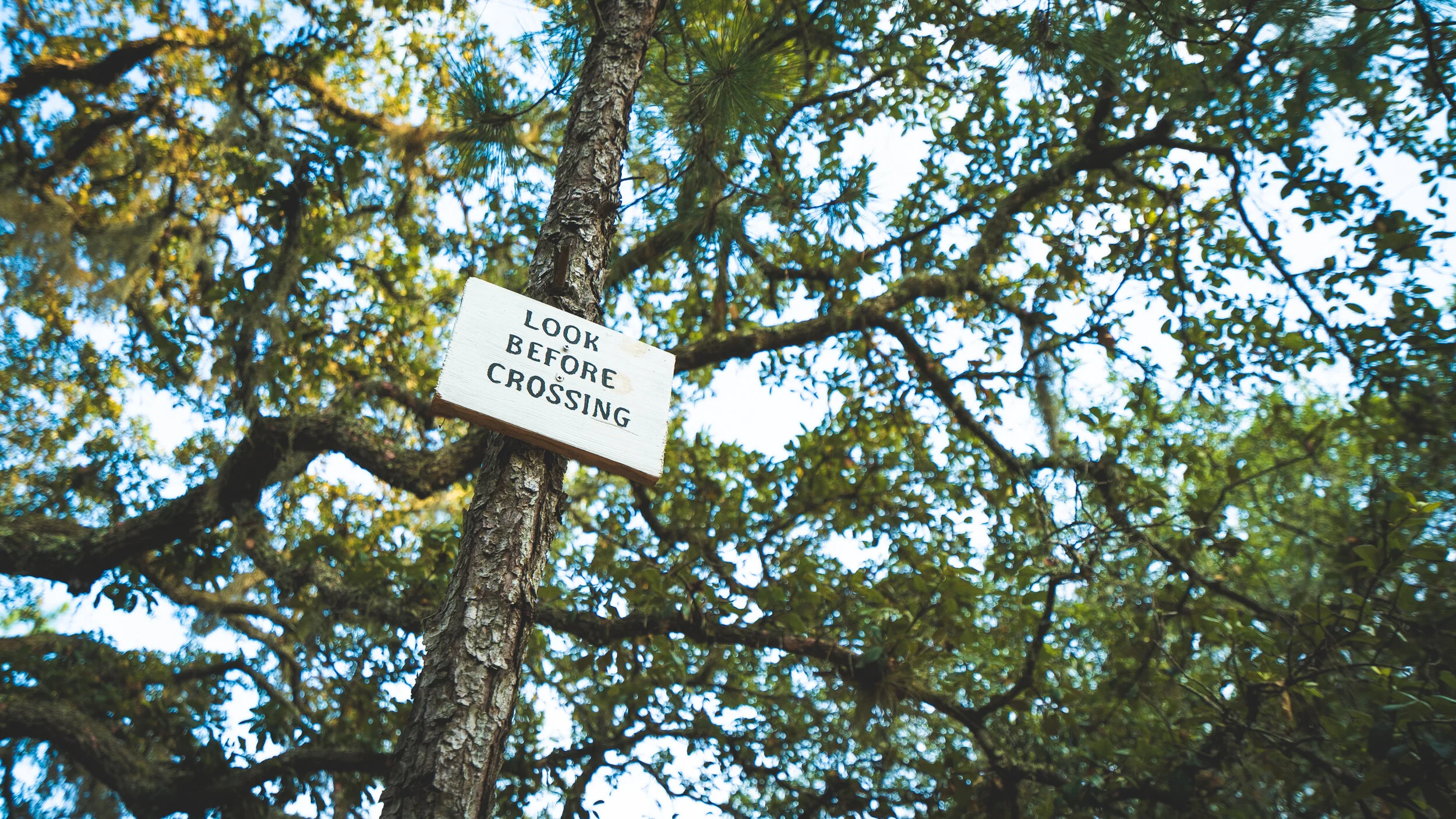 Gallery 2 — OCALA GREENWAY DISC GOLF COURSE