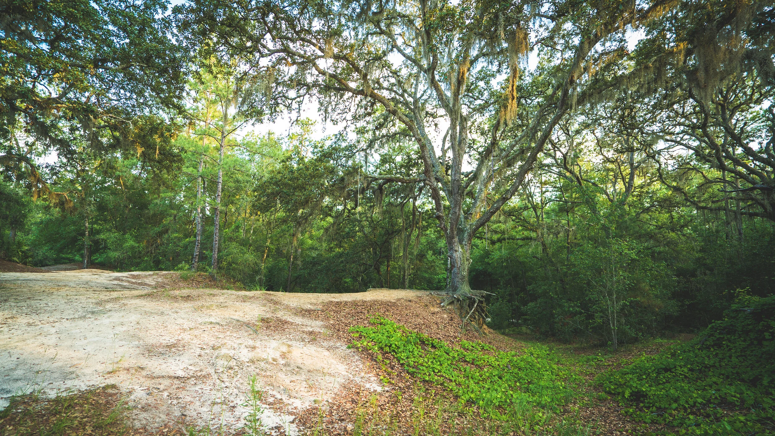 Gallery 2 — OCALA GREENWAY DISC GOLF COURSE
